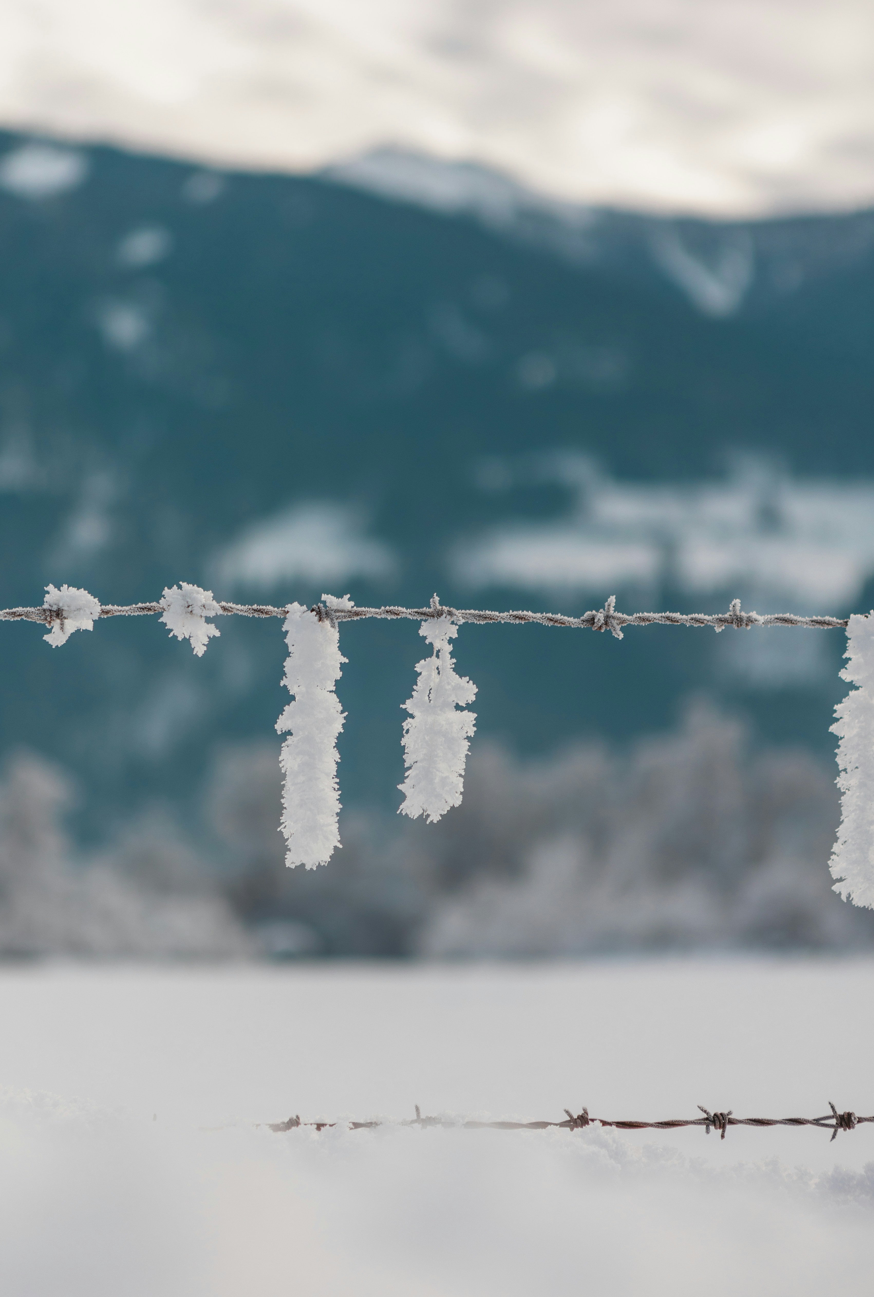 A line of icicles hanging from a barbed wire photo – Free Nature Image ...
