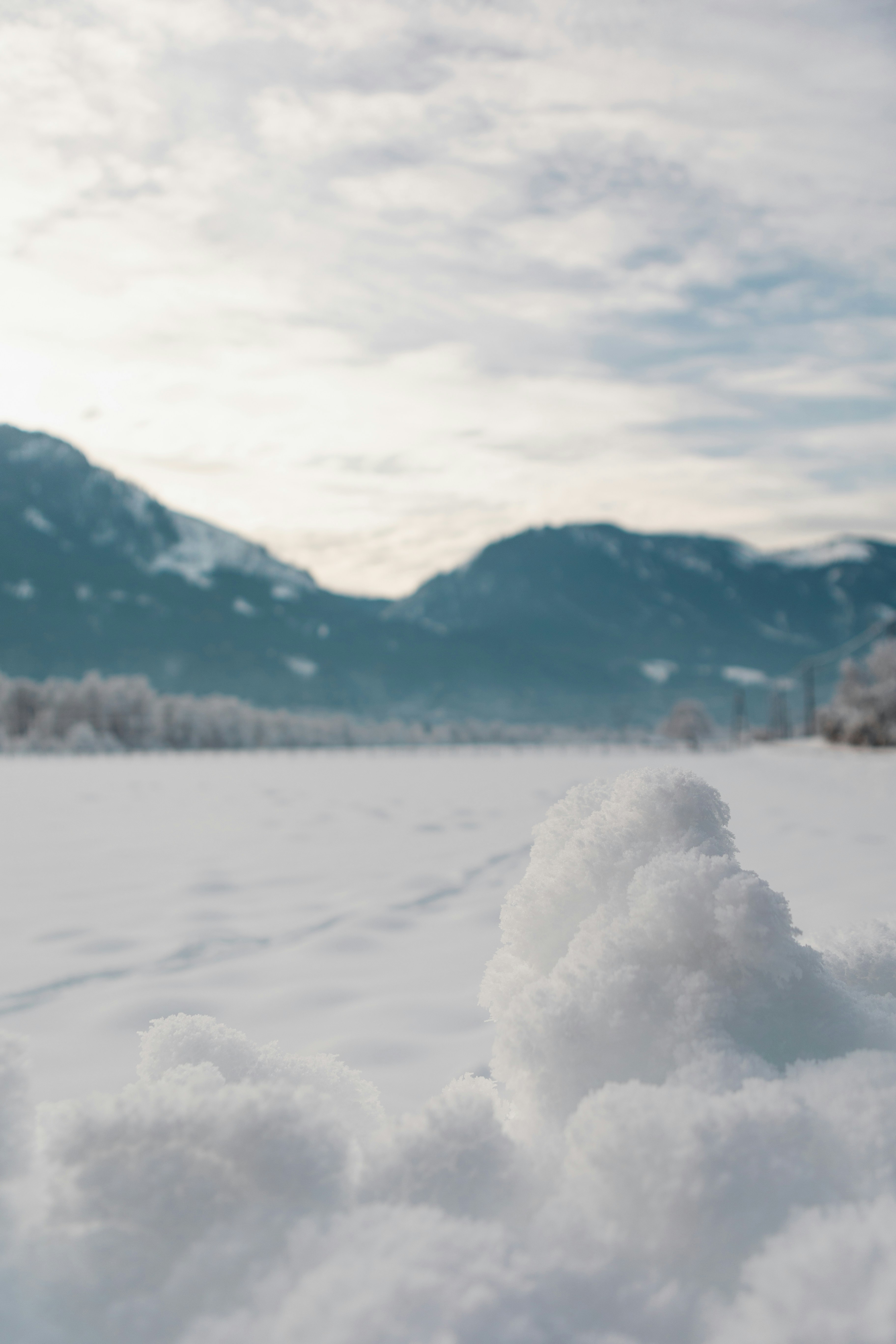 Snowfield Sentinel: Frosty Peaks Under Quiet Skies