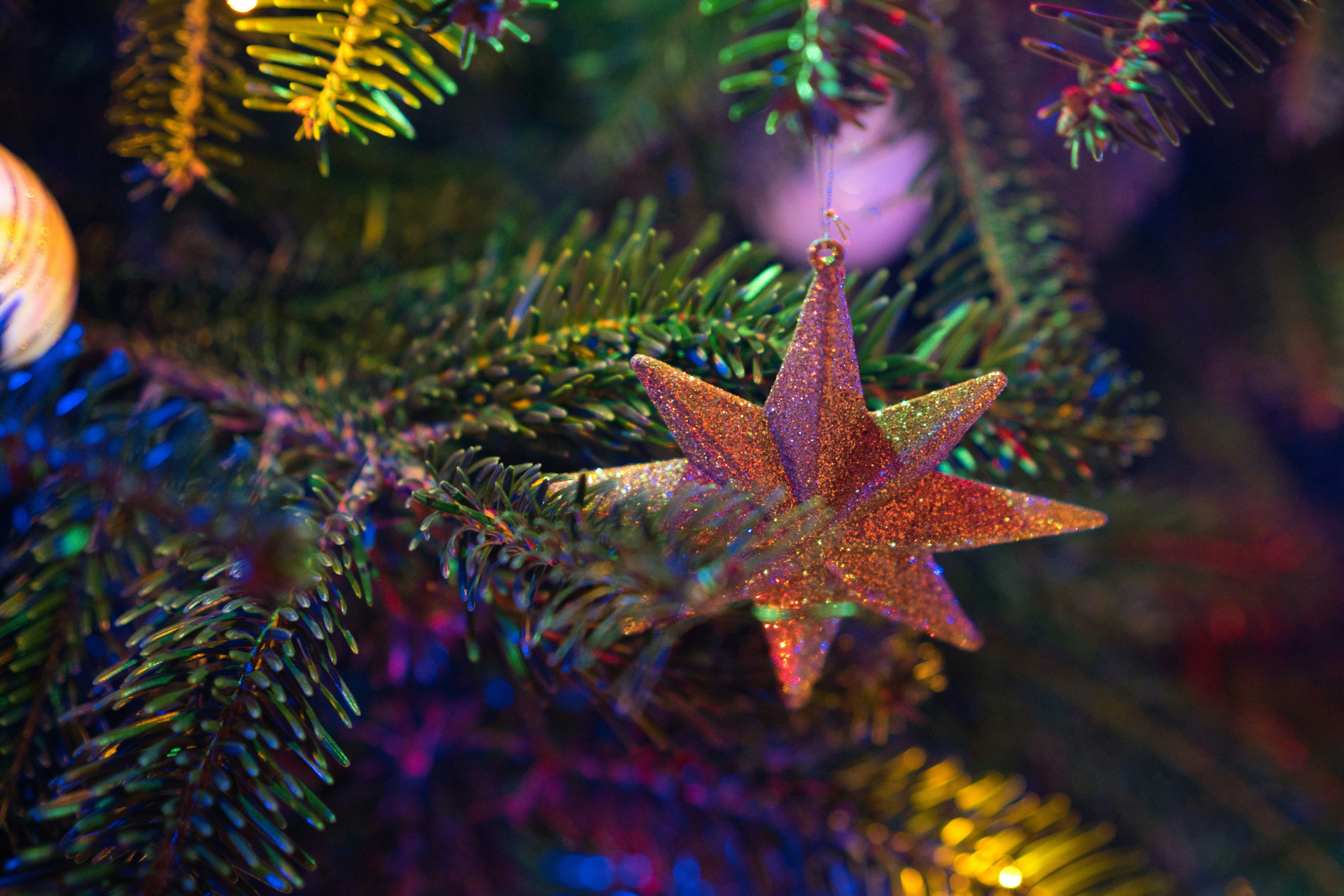 The Piercing Nature of Christmas - by Edwin Leap