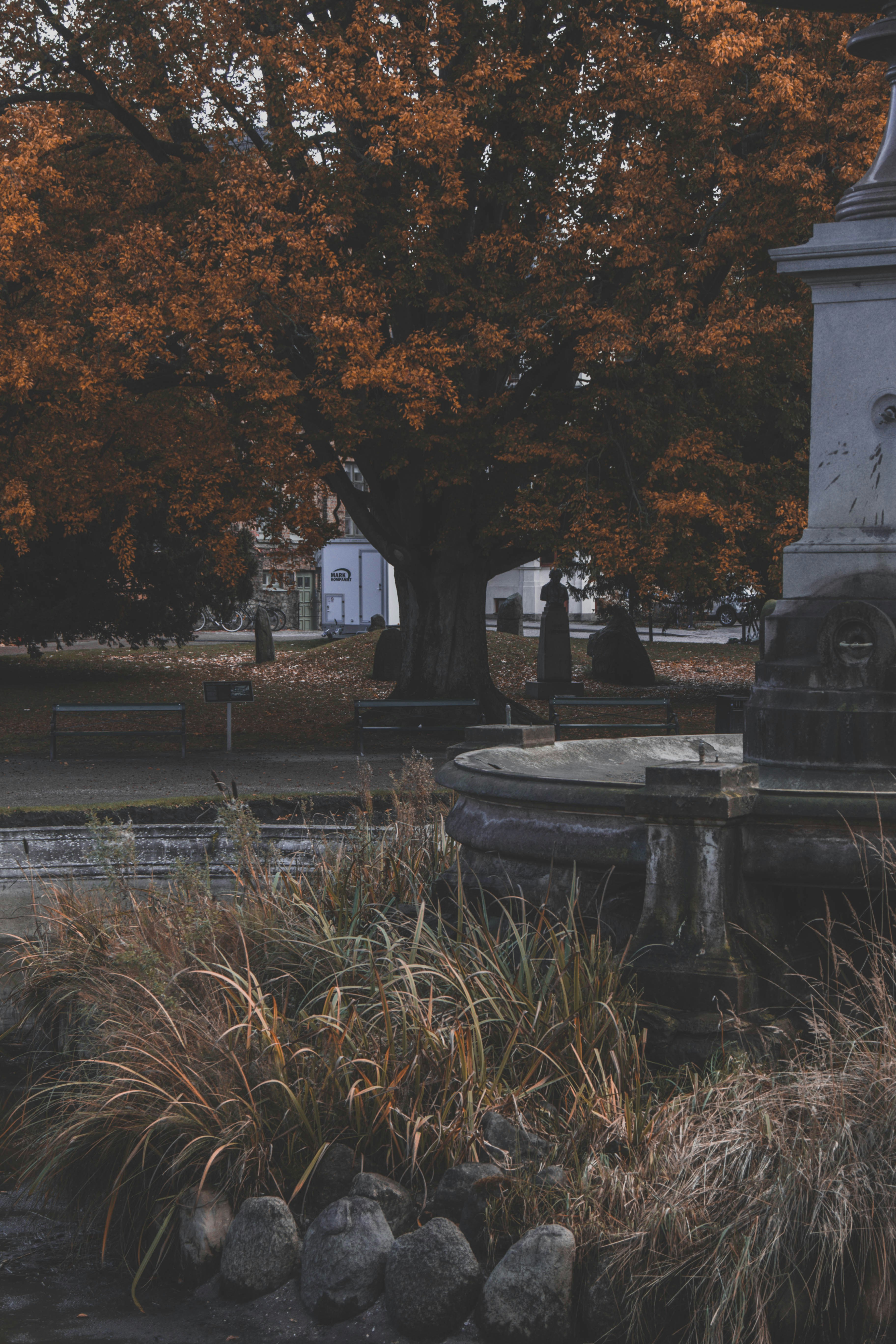 Amber Canopy Over a Marble Fountain: Autumn Stillness in the Park
