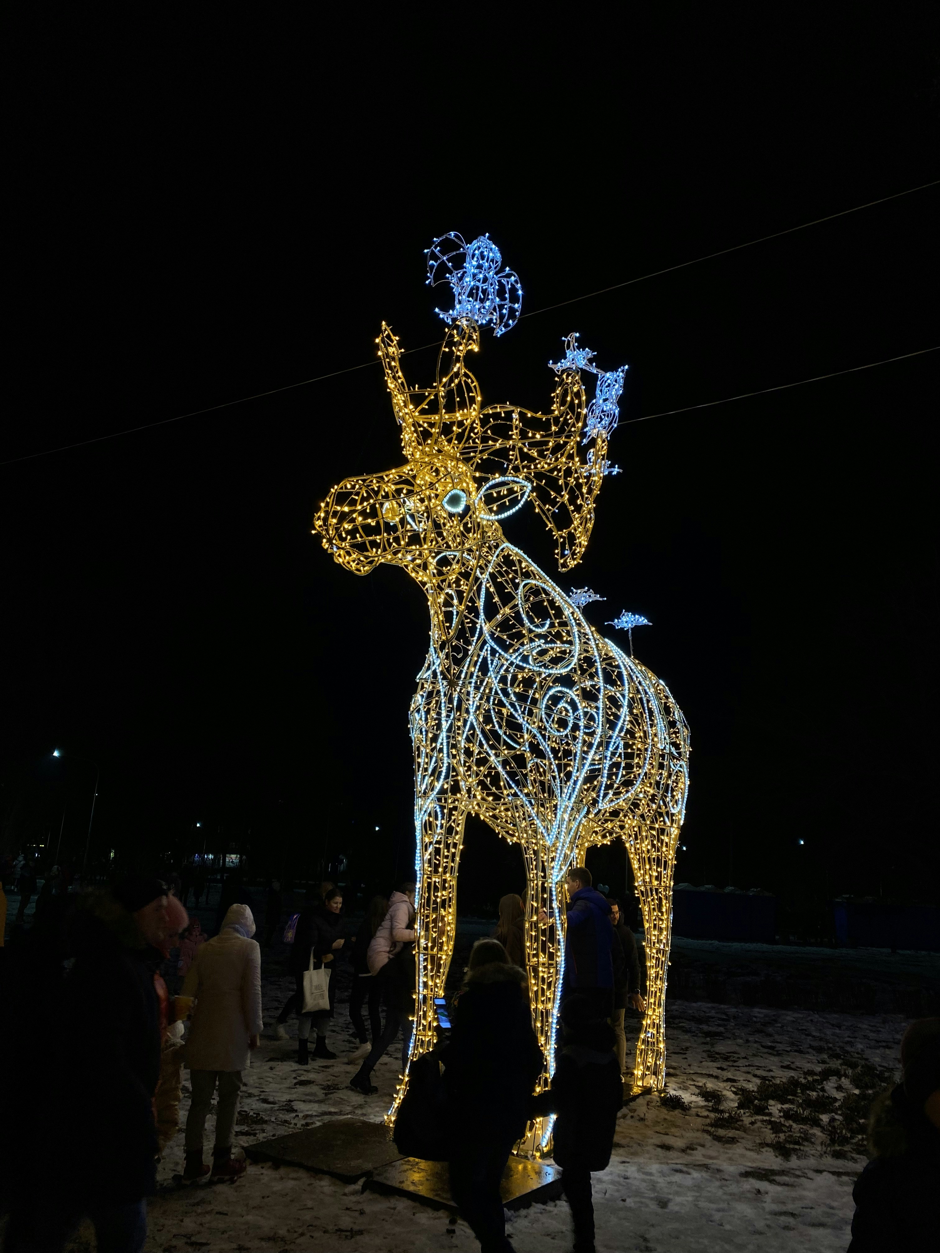 Midnight Lumière: The Illuminated Deer Weaving Light Through Snow
