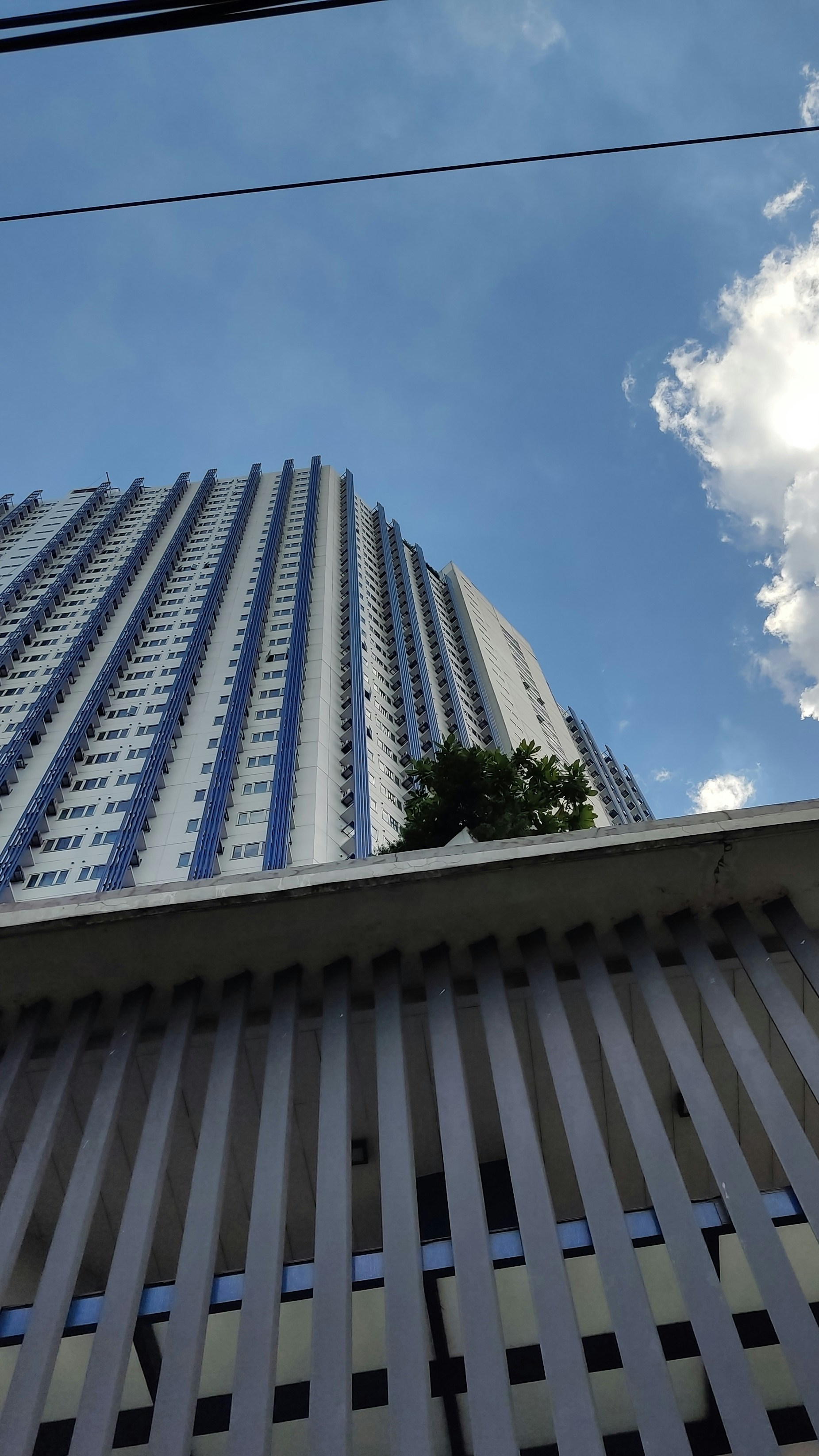 Foto Un edificio alto con un árbol en el medio – Imagen Edificio gratis ...