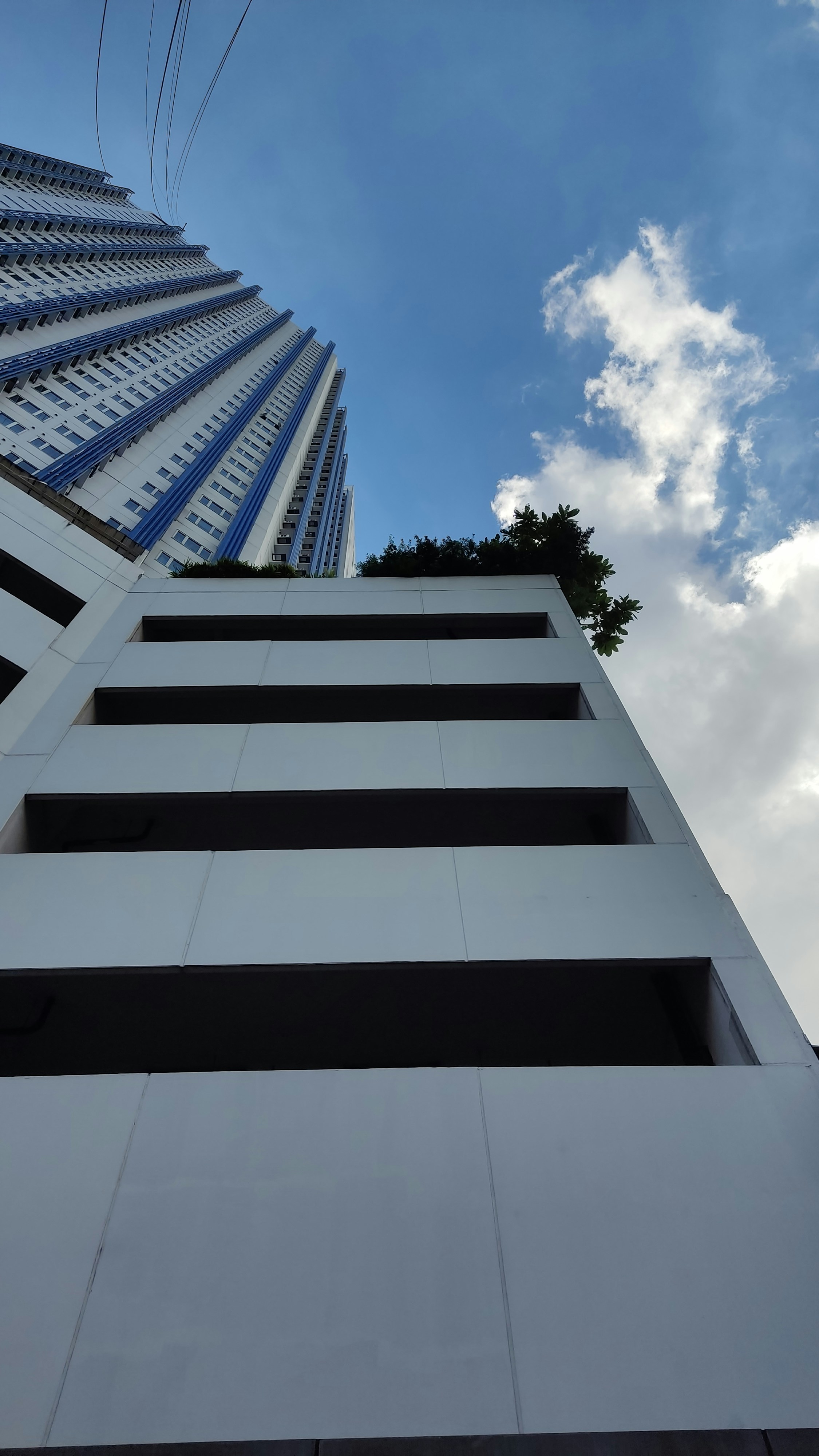 Ascending Facade: A Vertical Surge Toward the Sky