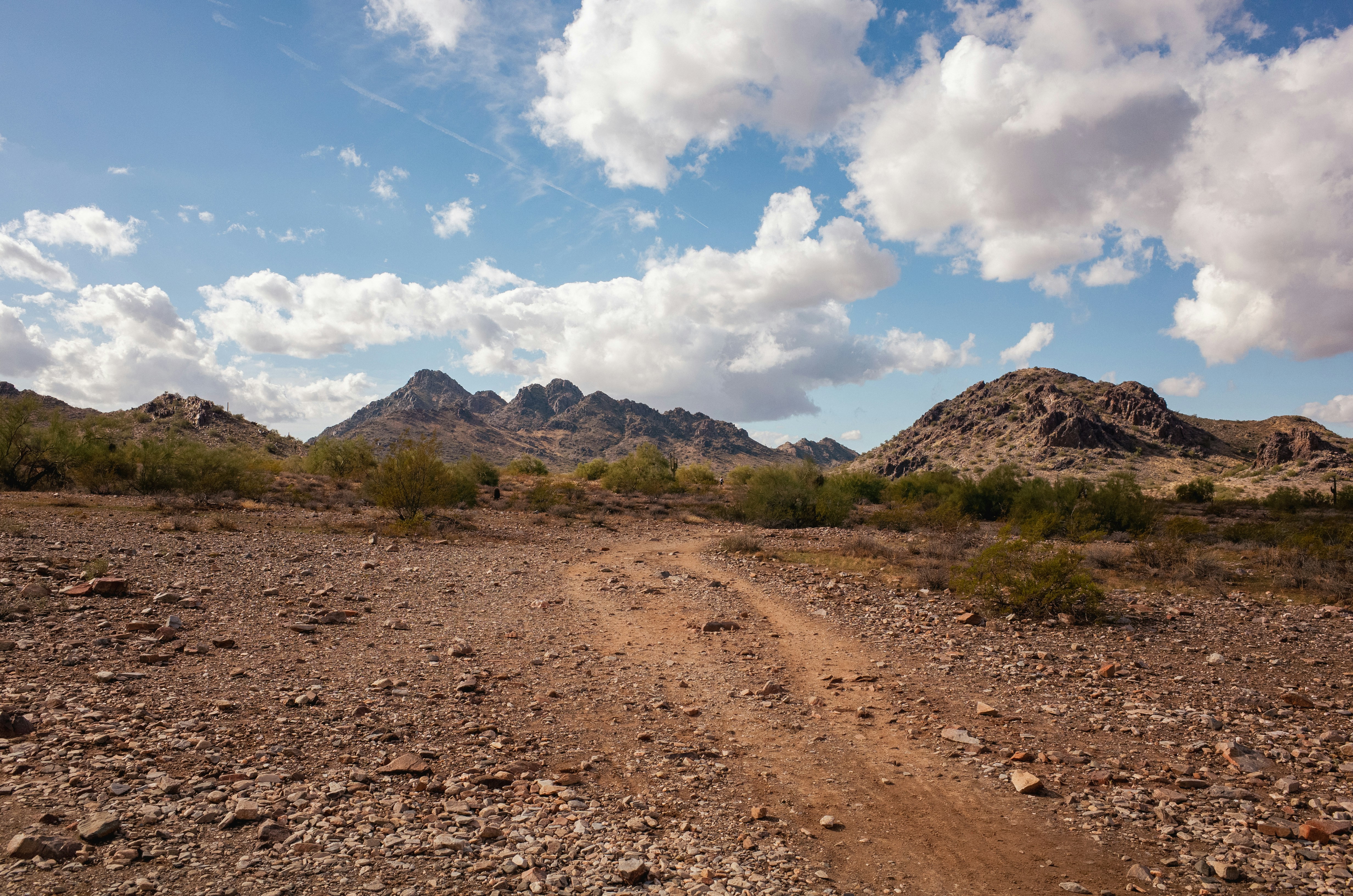 Un chemin de terre au milieu d’un désert photo – Photo Etats-Unis ...