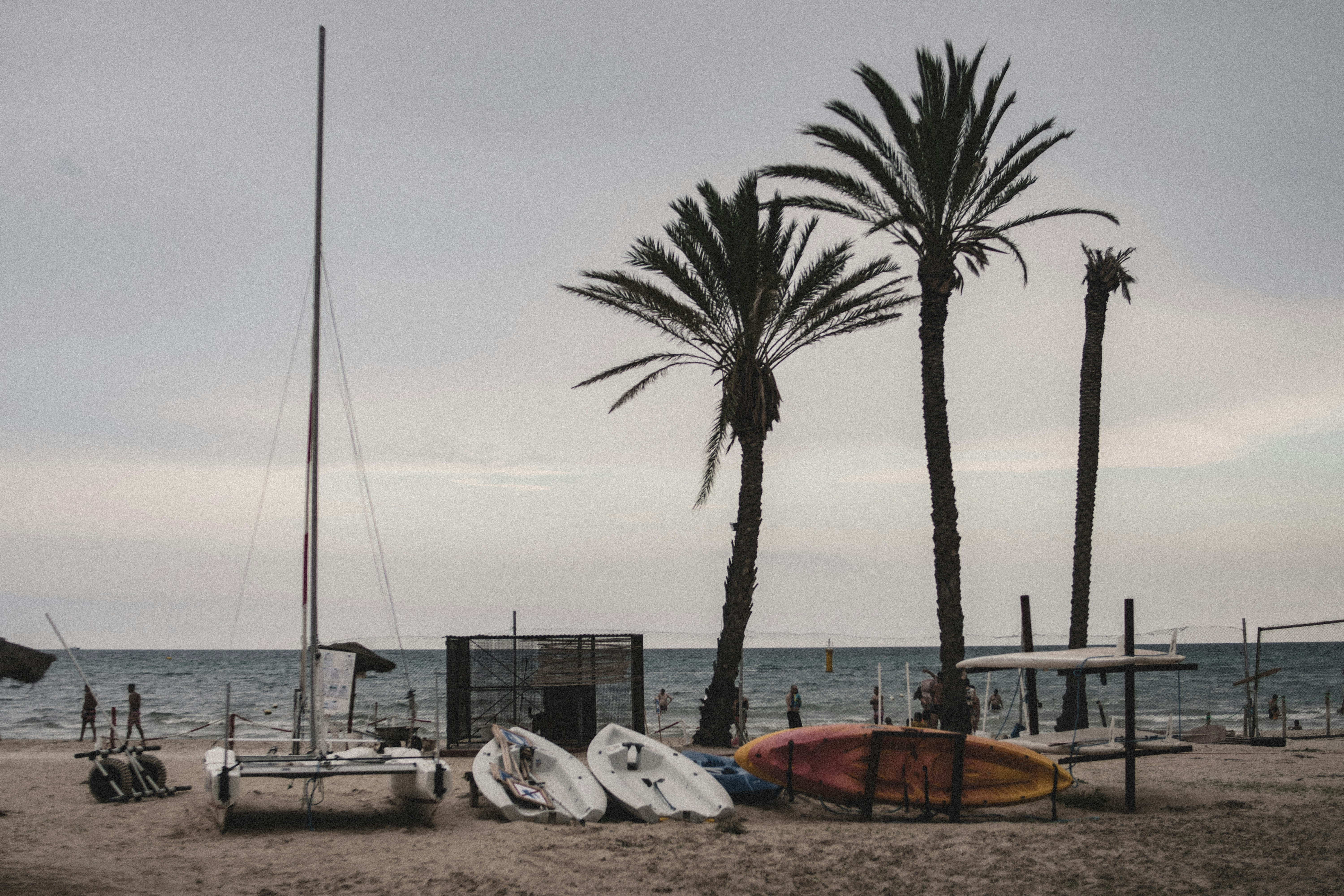Serene Shoreside Stillness