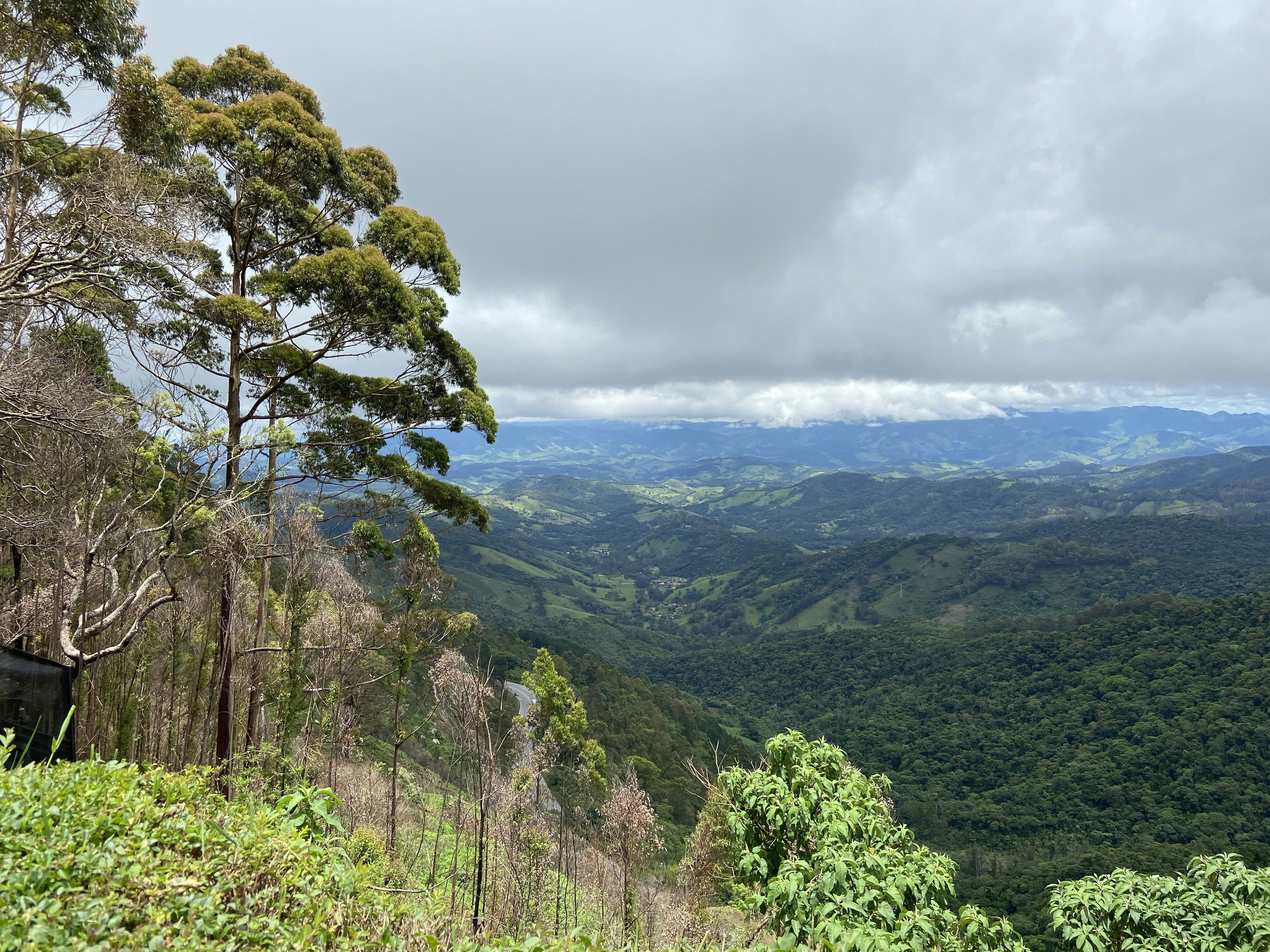 Lush green valley surrounded by mountains beneath a cloudy sky.
