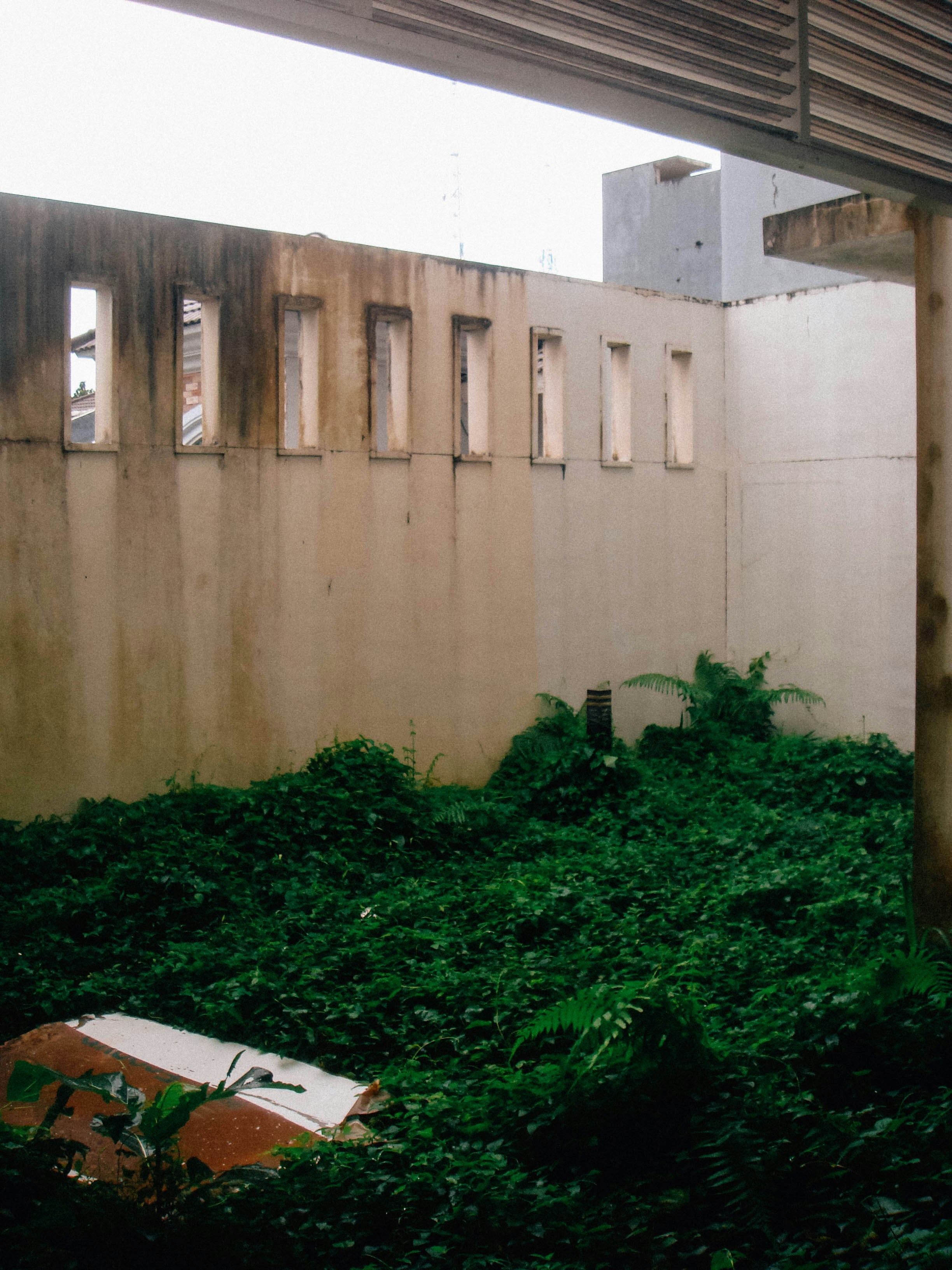 kevin laminto (@kxvn_lx) | Unsplash Photo Community