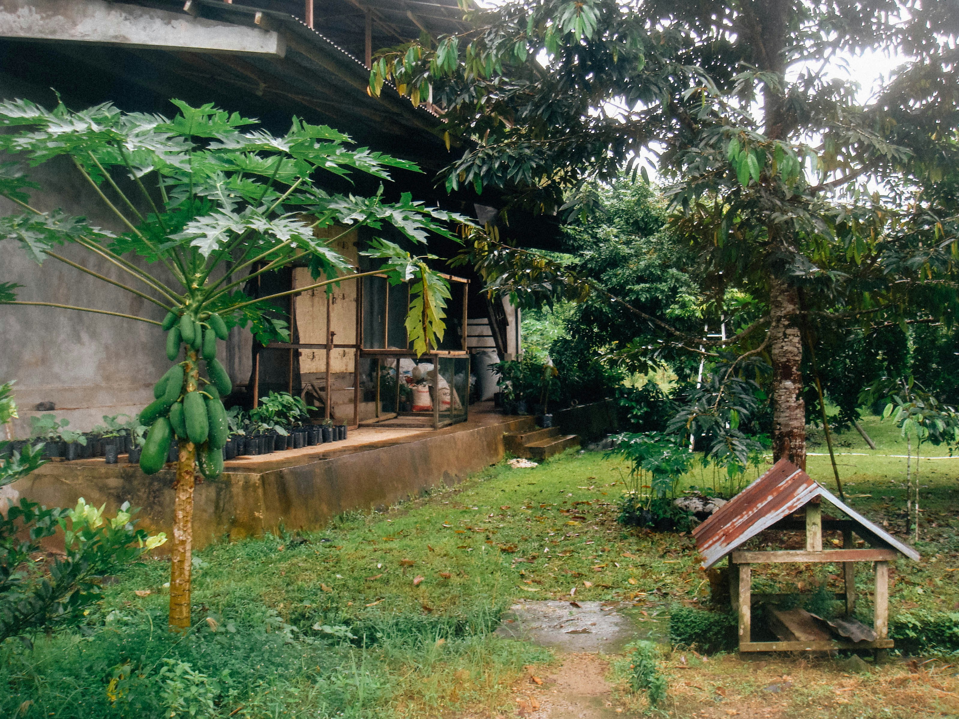 kevin laminto (@kxvn_lx) | Unsplash Photo Community