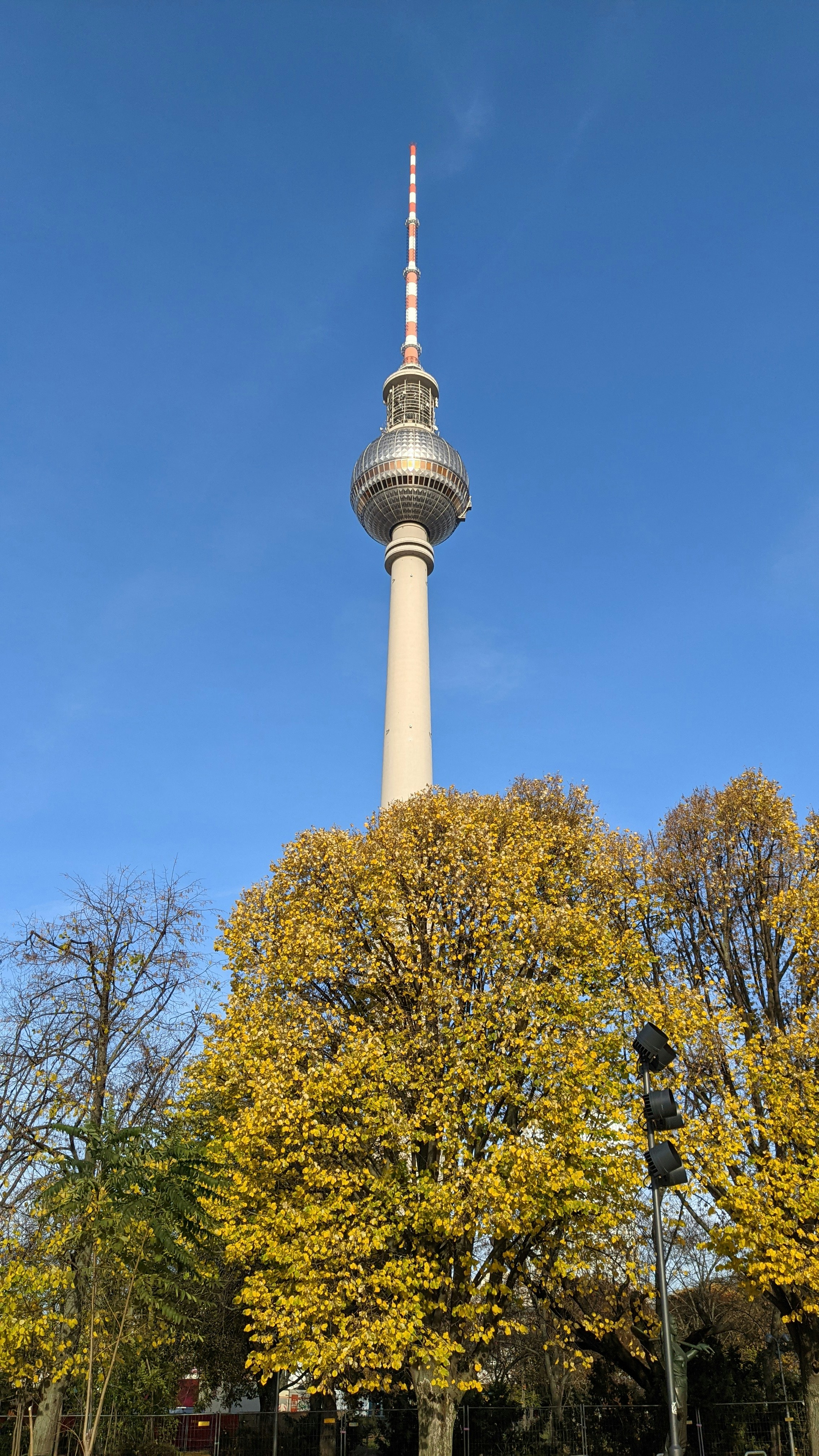 Berlin's iconic television tower rises above a vibrant canopy of autumn leaves, framed against a clear blue sky.