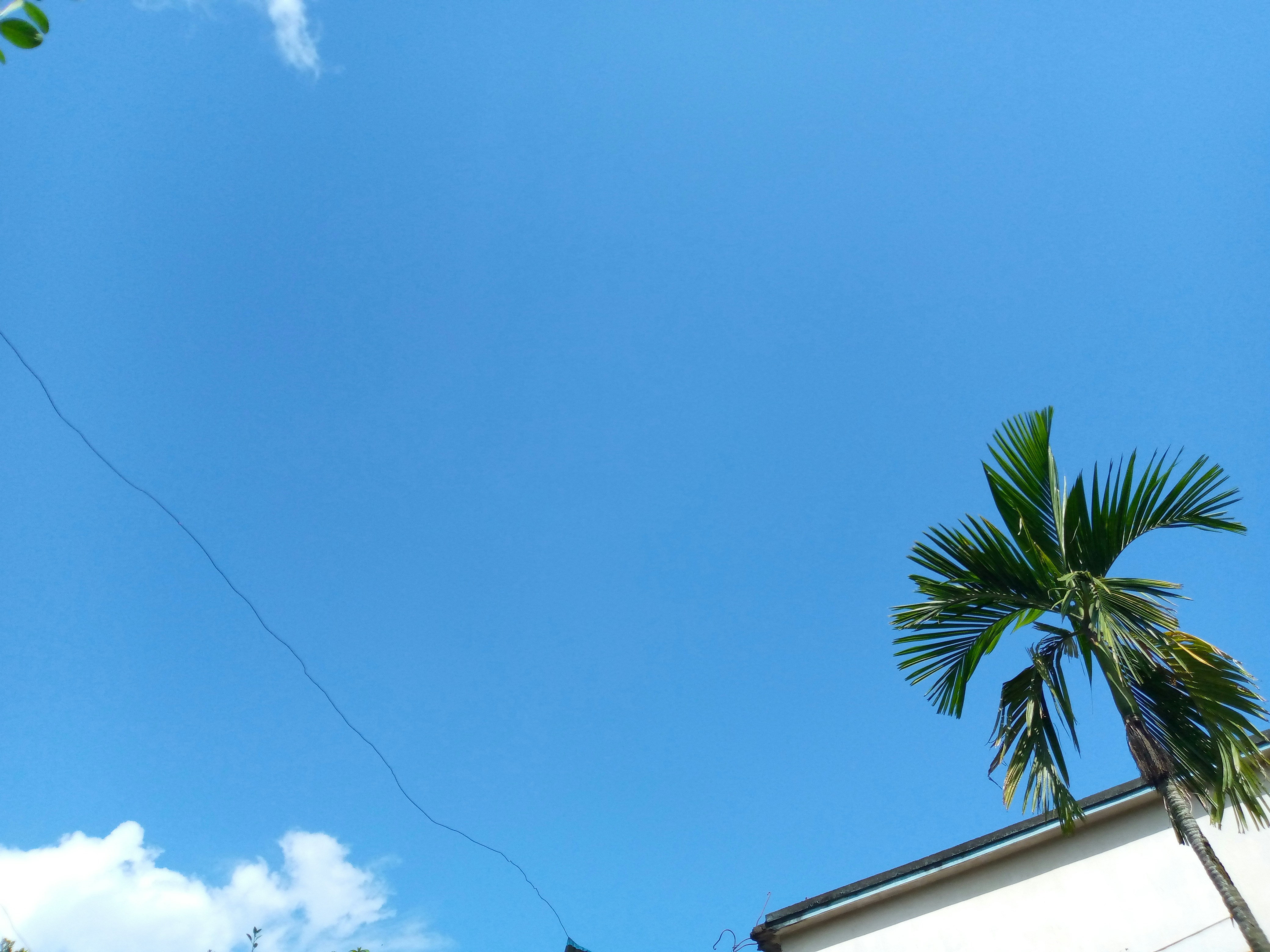 Serene Skies Overhead