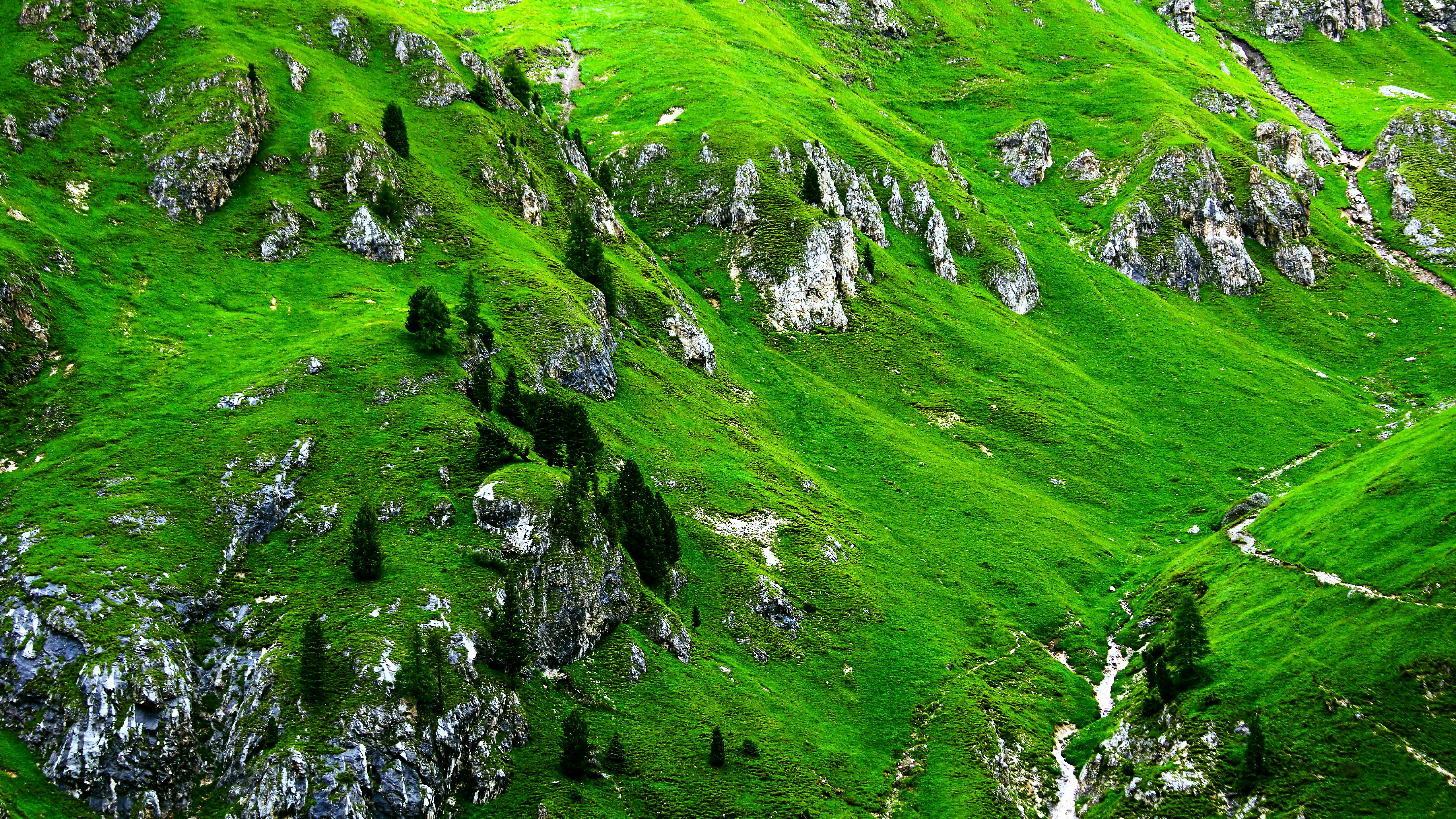 a lush green hillside covered in lots of grass