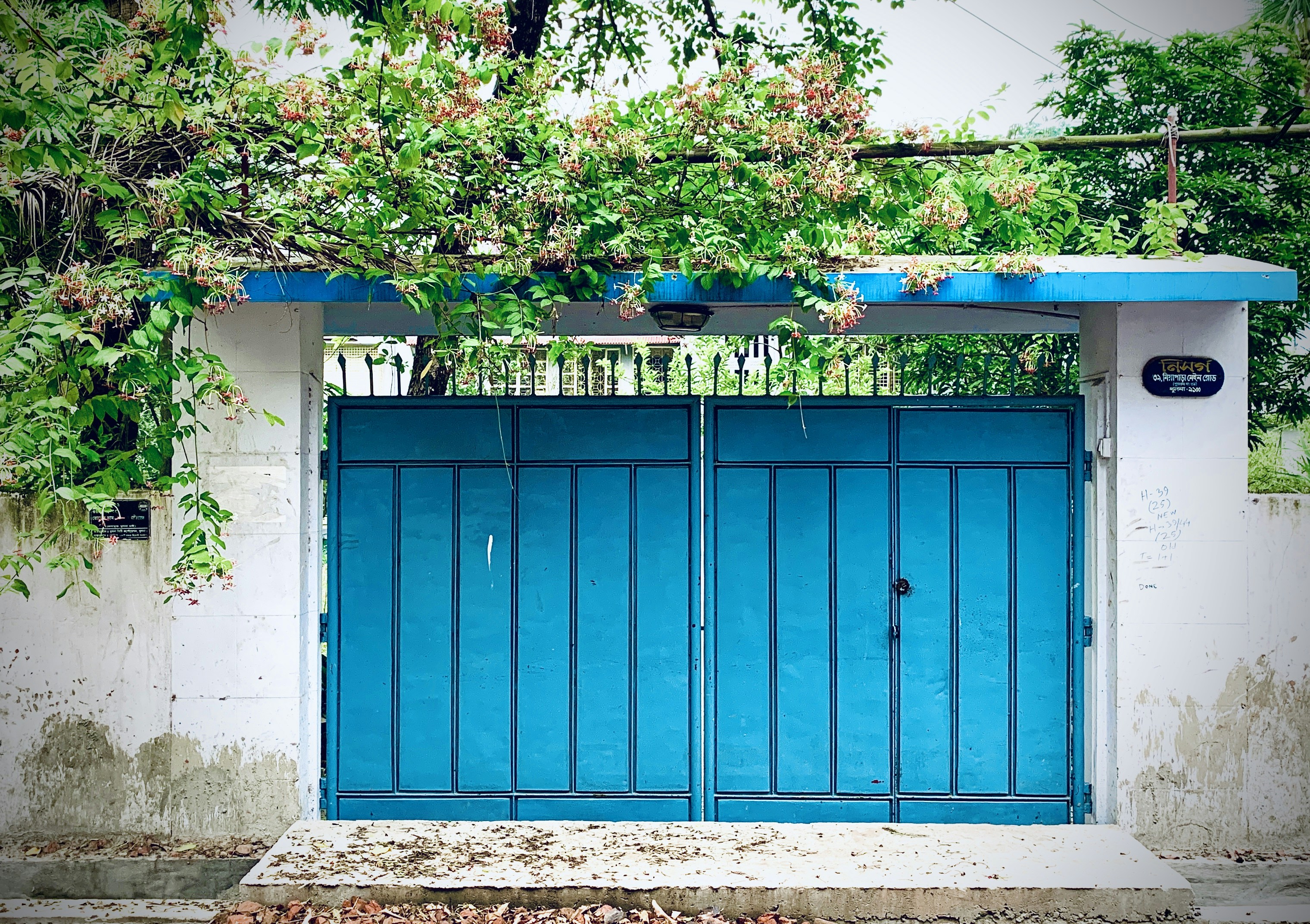 Blue gate adorned with lush green vines under a cloudy sky.
