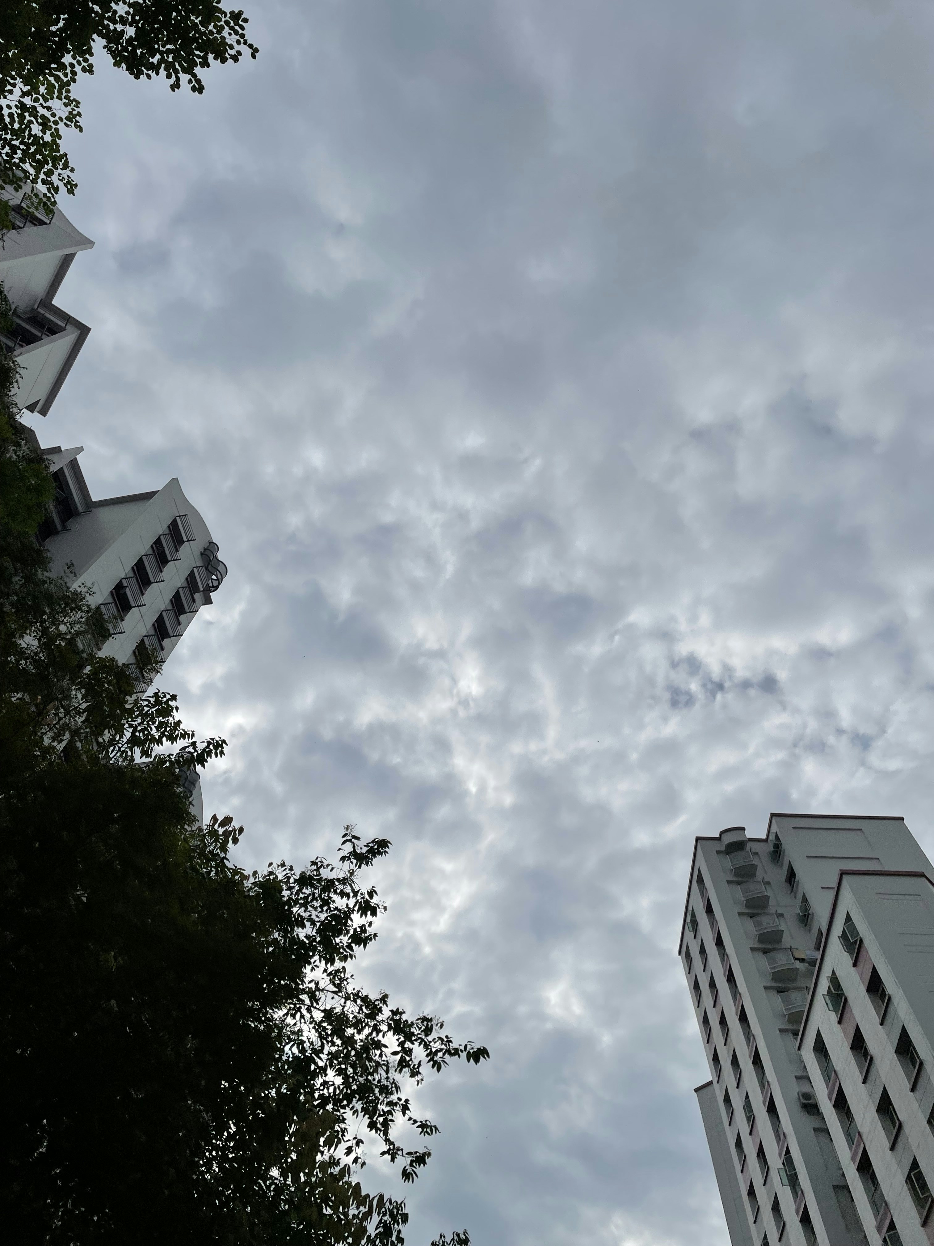 A view of some buildings from the ground photo – Free Weather Image on ...