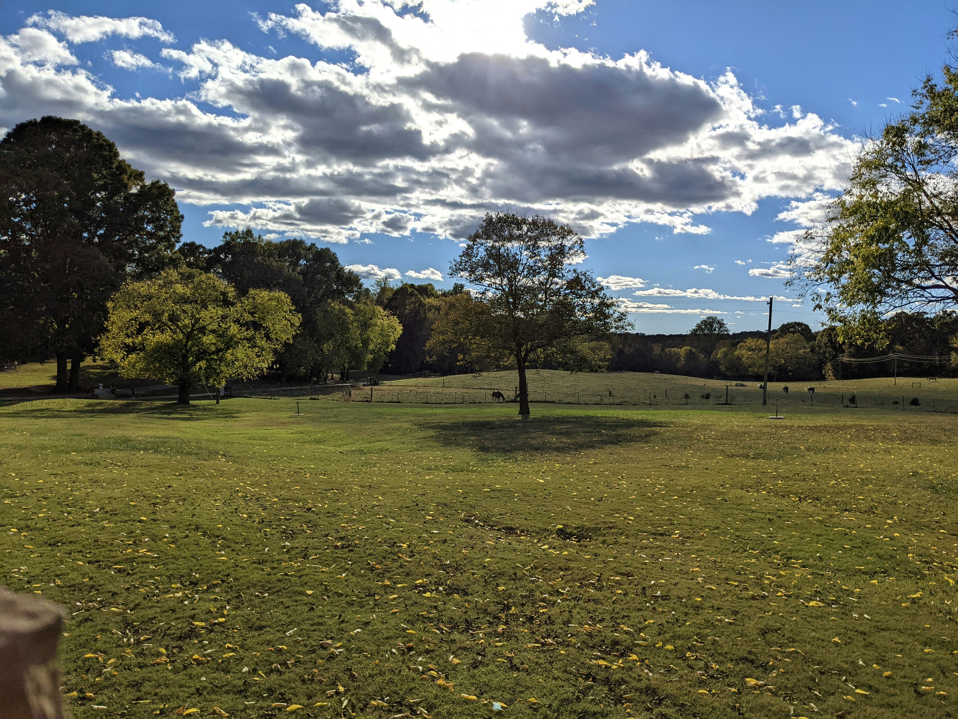 Vibrant autumn foliage in a serene meadow under a partly cloudy sky, with trees dotting the landscape and hints of distant hills. 