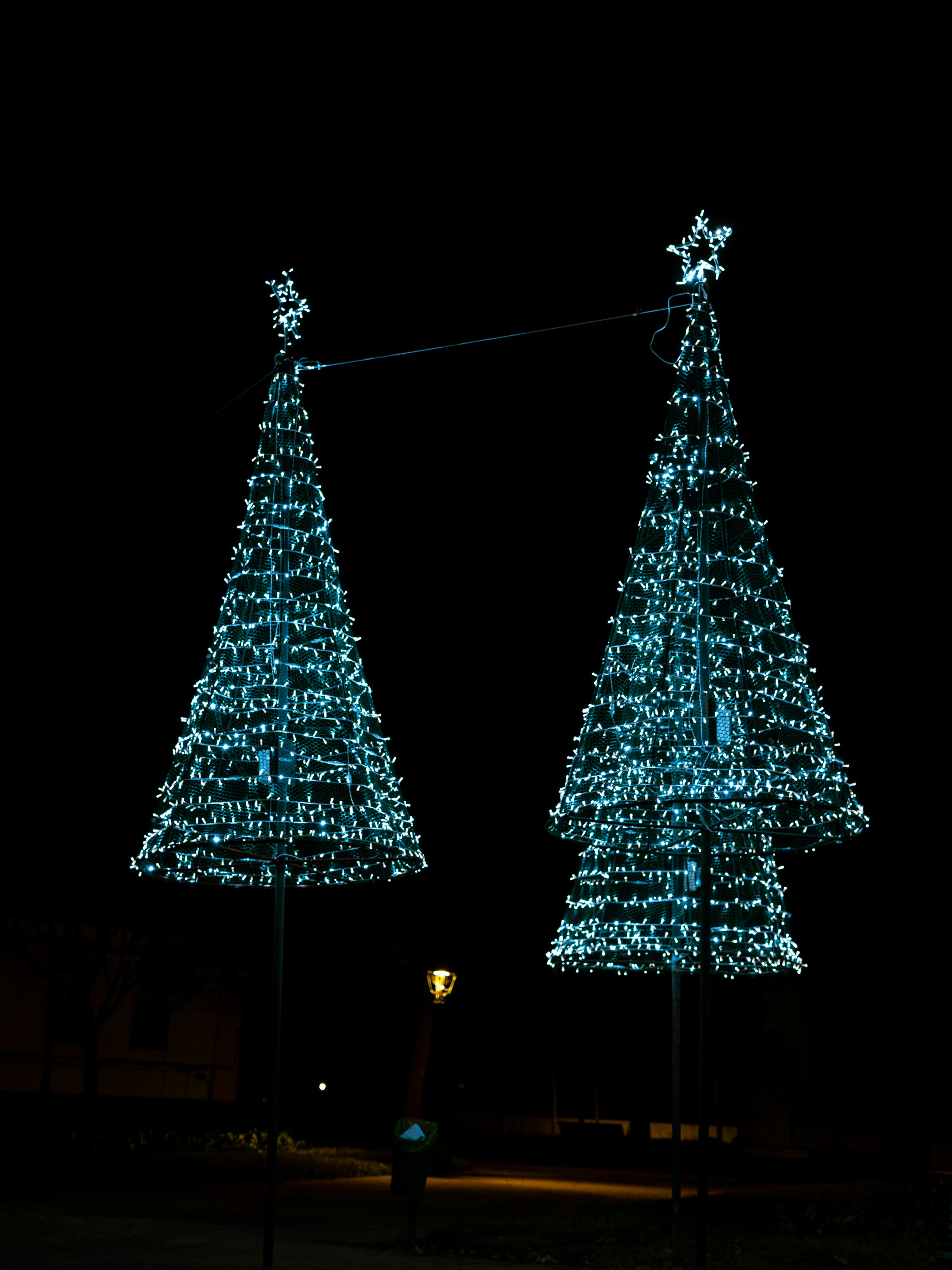 Blue-LED Christmas Trees Against Night Sky