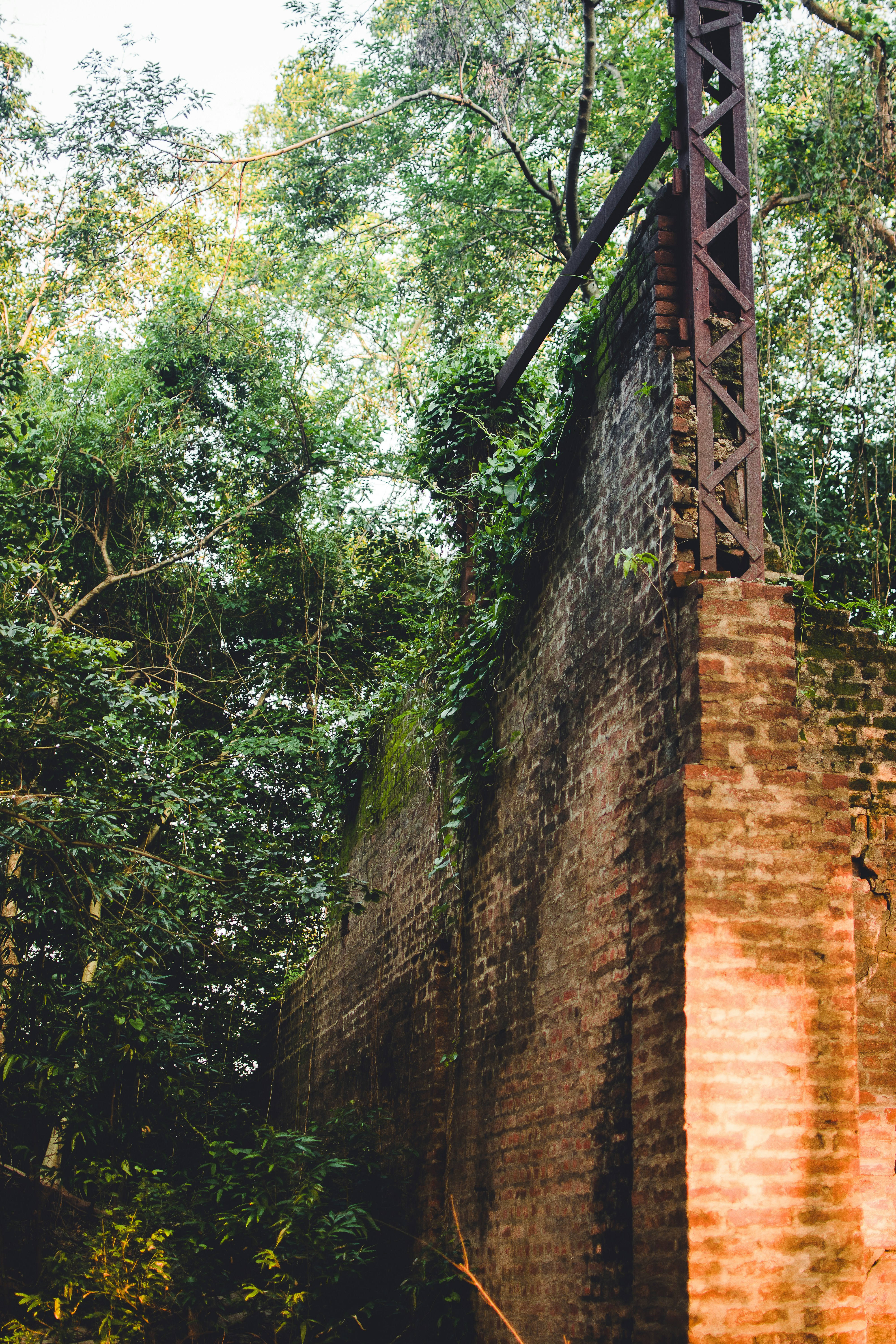 Ivy and Iron: A Rusted Truss Over a Weathered Brick Wall