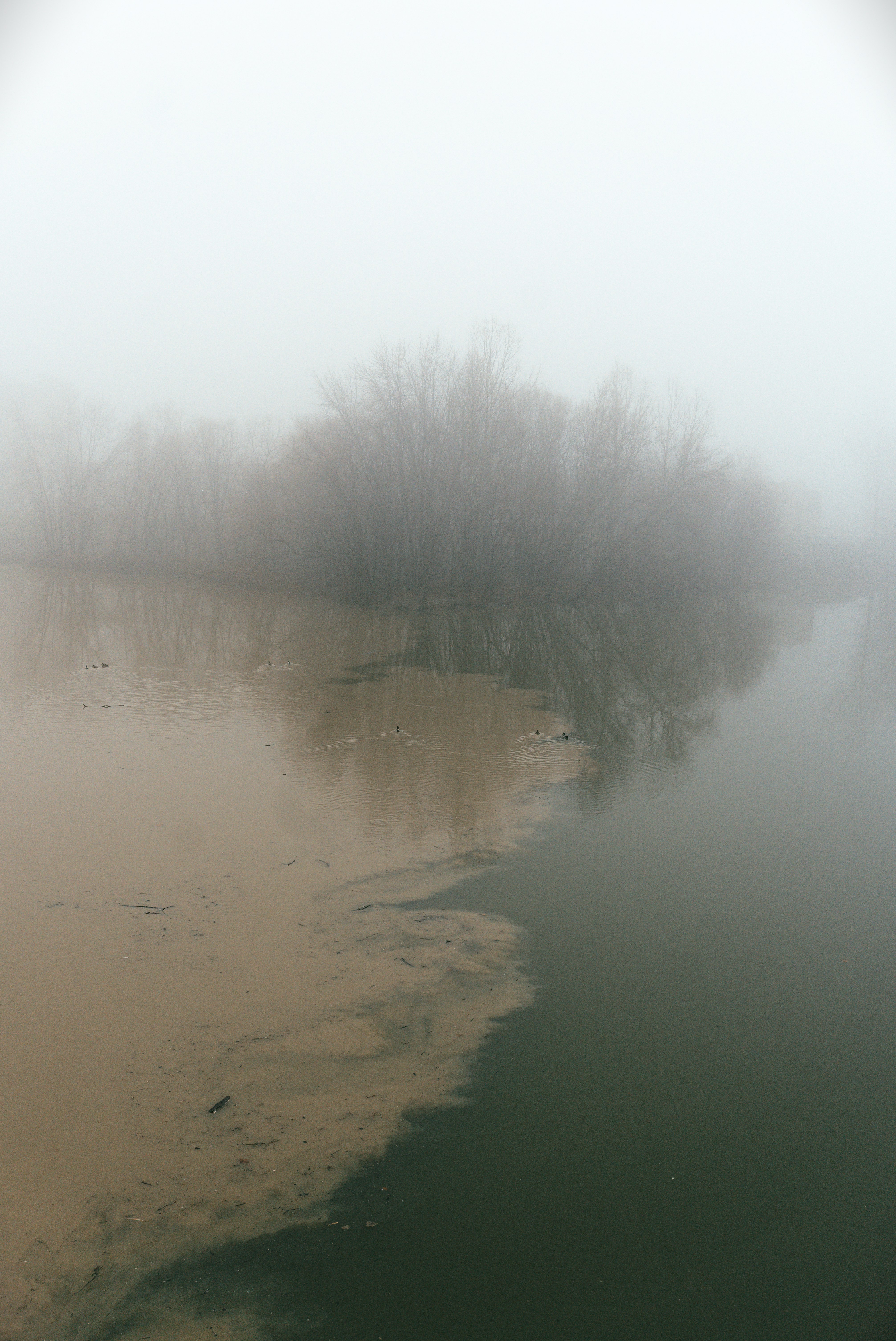 Fog envelops a tranquil riverbank, where bare trees reflect in the still water, creating a serene yet mysterious atmosphere.