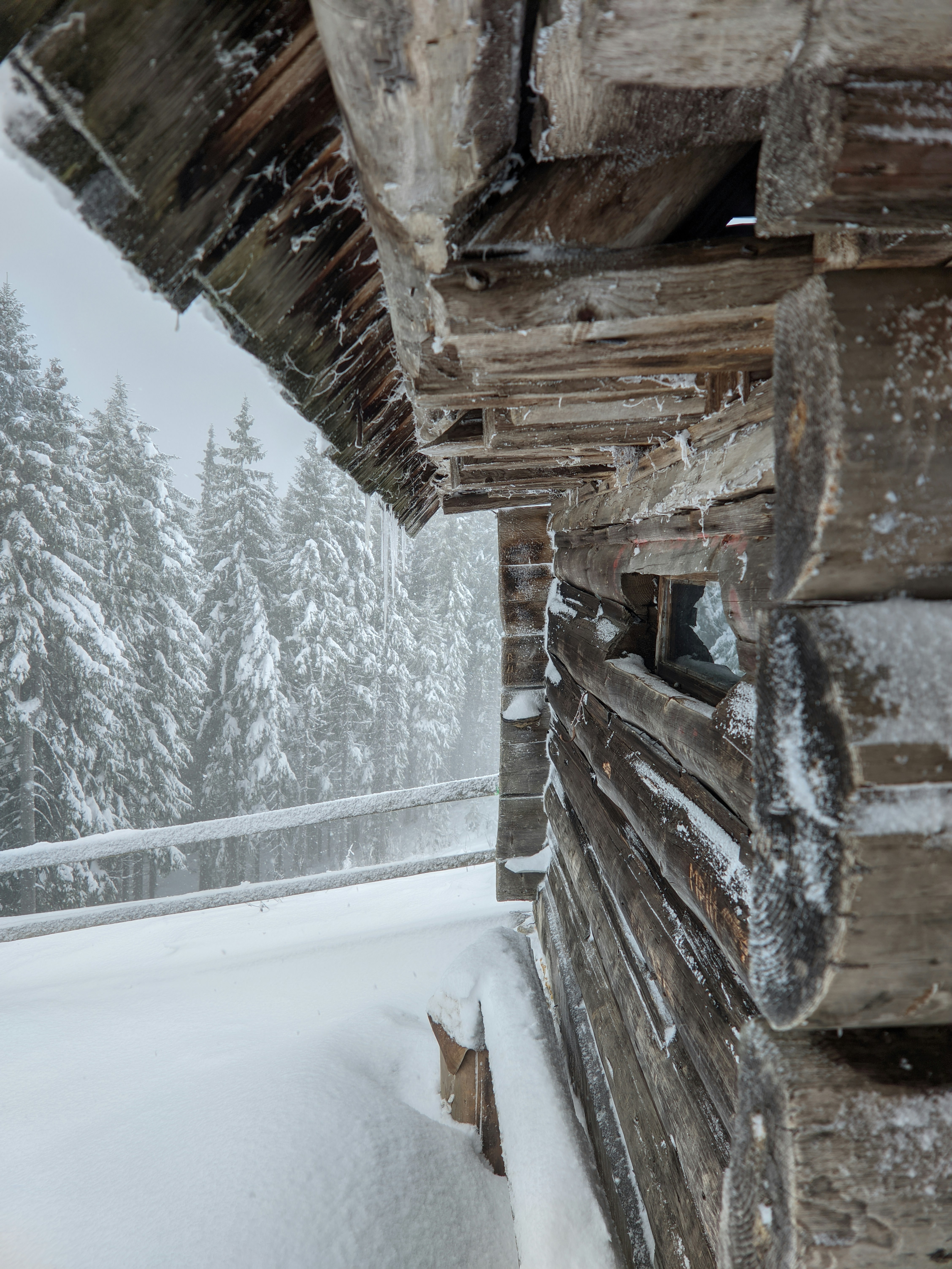 Snowbound Timber: A Glimpse Along the Log Cabin Wall