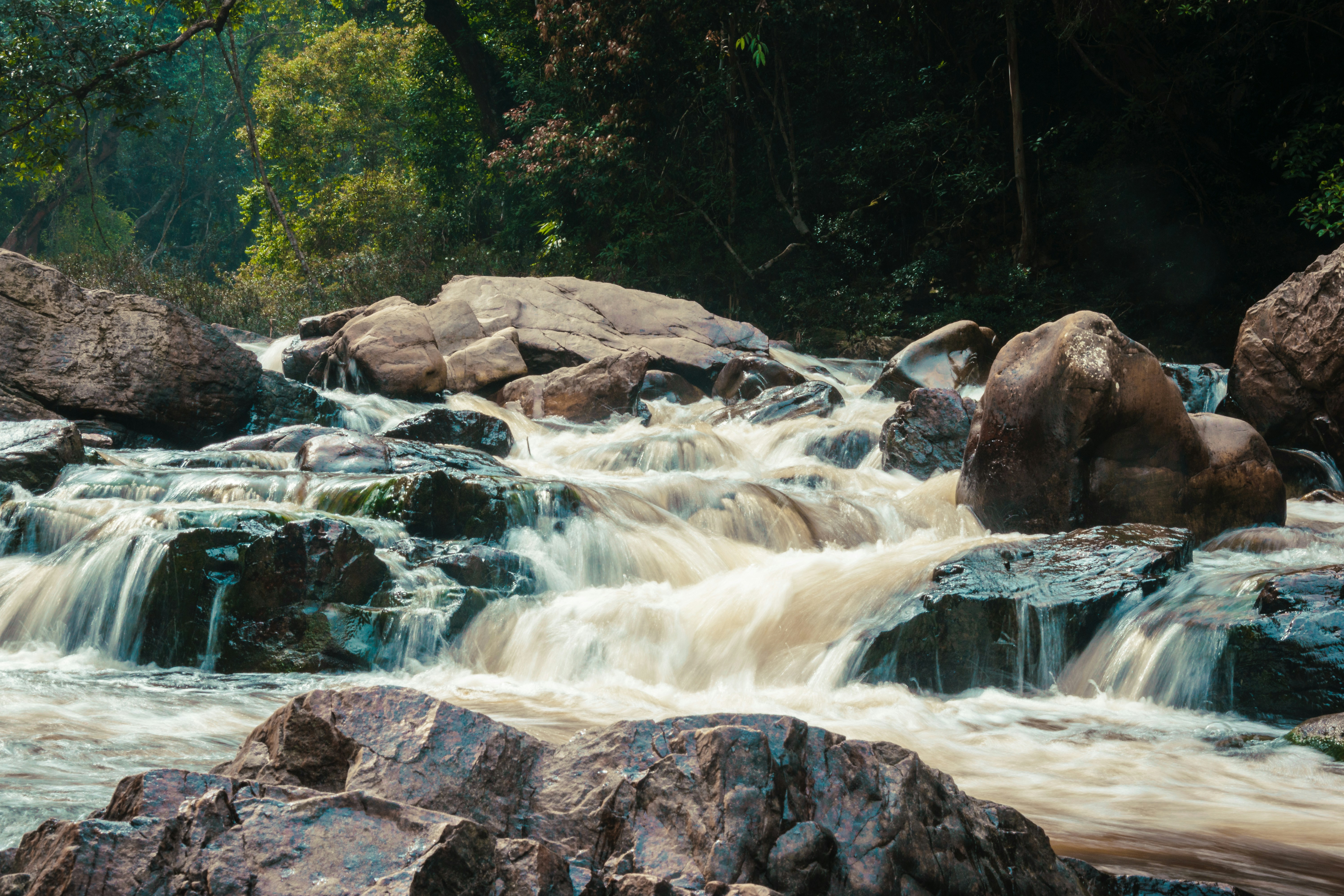A stream of water running over rocks in a forest photo – Free Malaysia ...