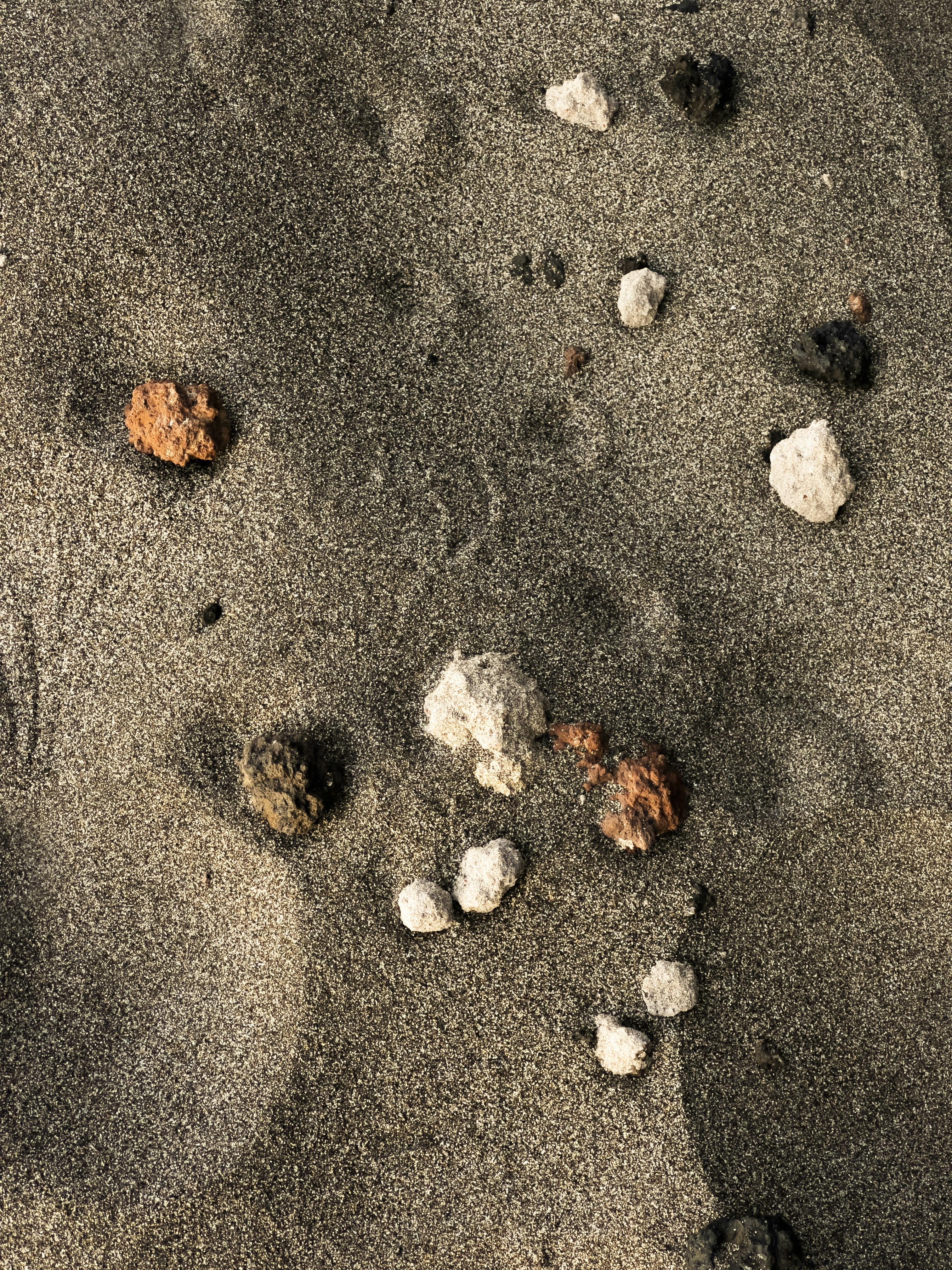 Various pebbles scattered across a sandy surface, showcasing intricate textures and natural patterns.