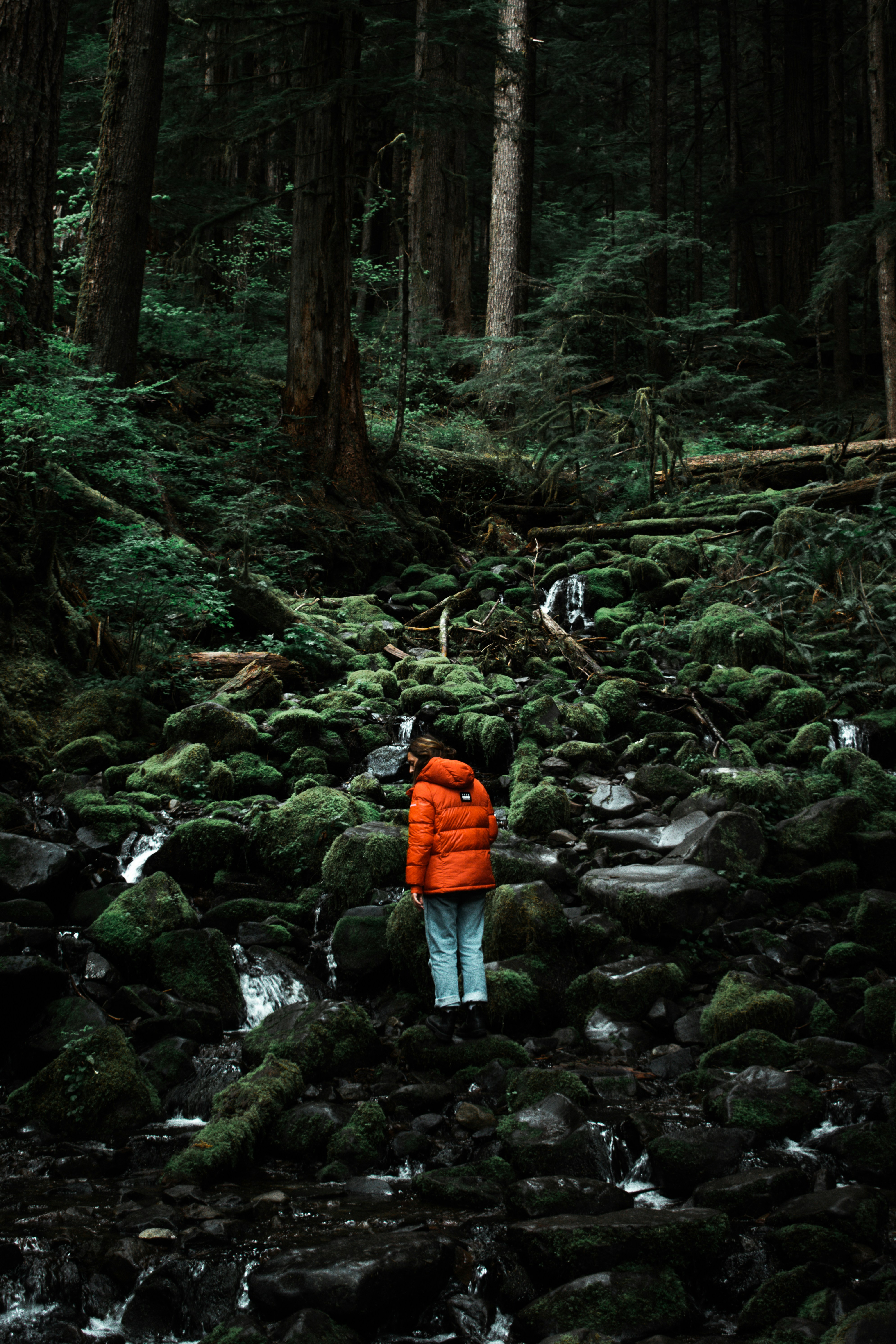 Person in an orange jacket standing among moss-covered rocks near a gentle stream in a dense forest.