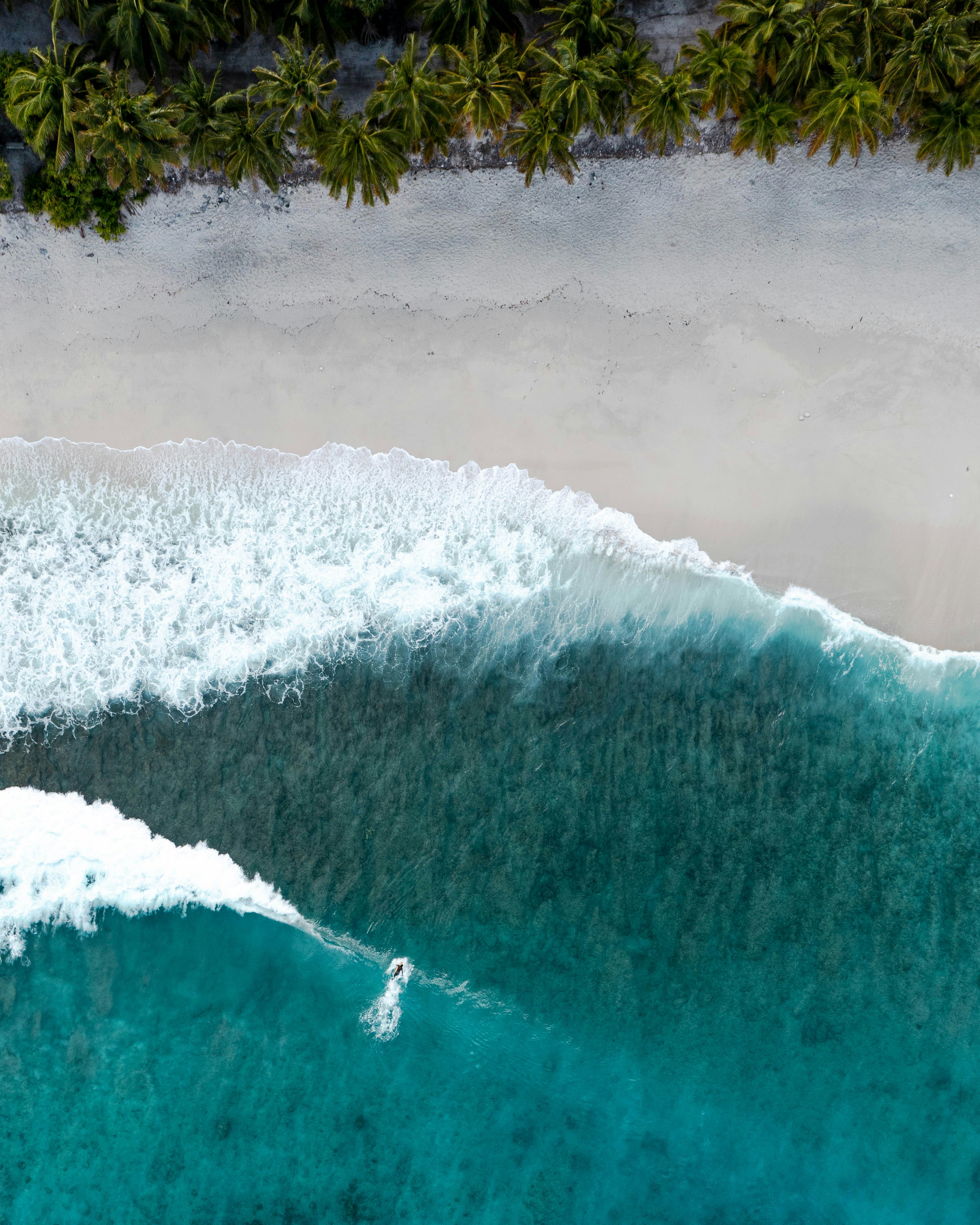 An aerial view of a beach and a wave photo – Free Sea Image on Unsplash