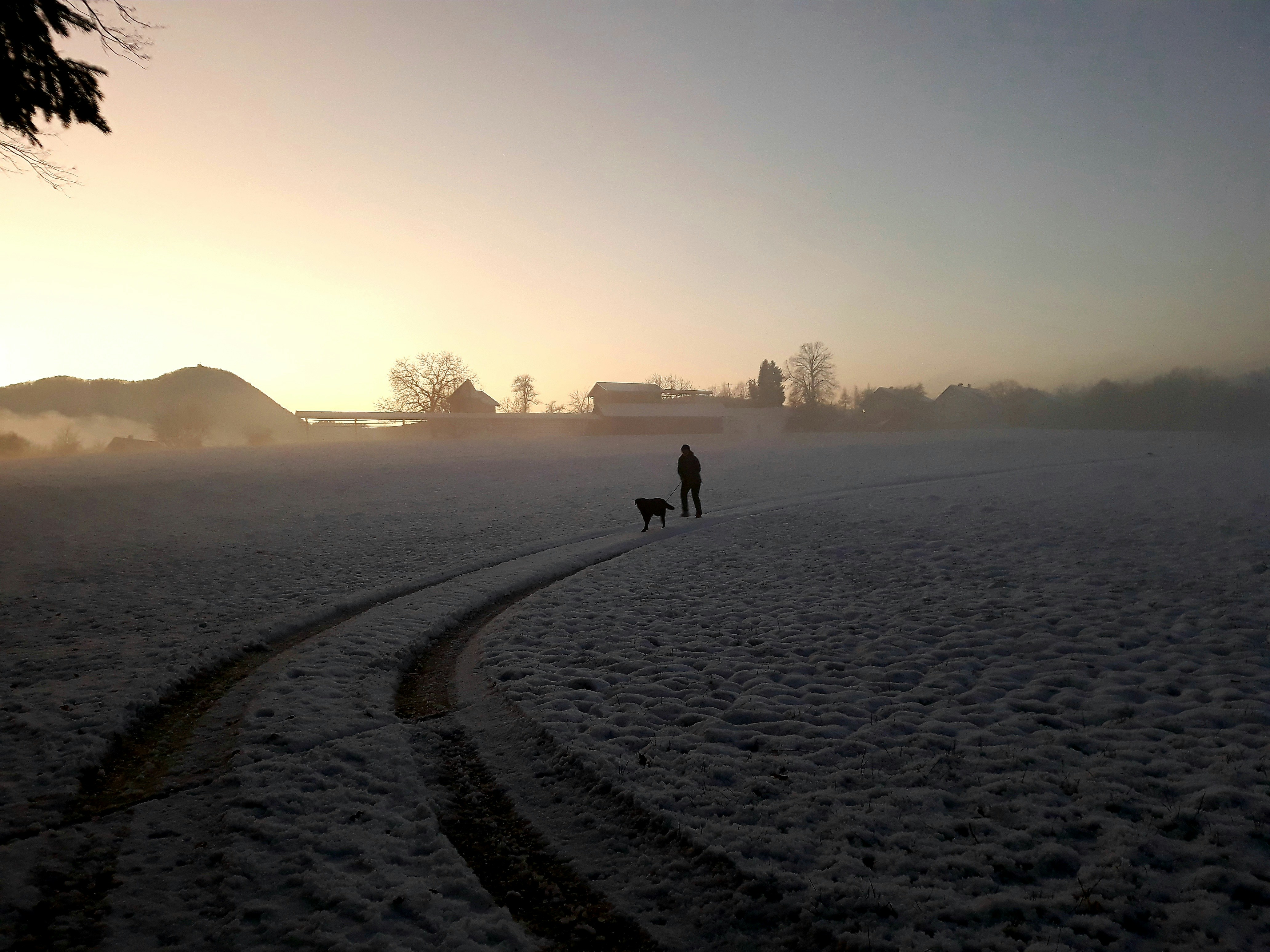 Marjeta Pucko (@puckom) | Unsplash Photo Community