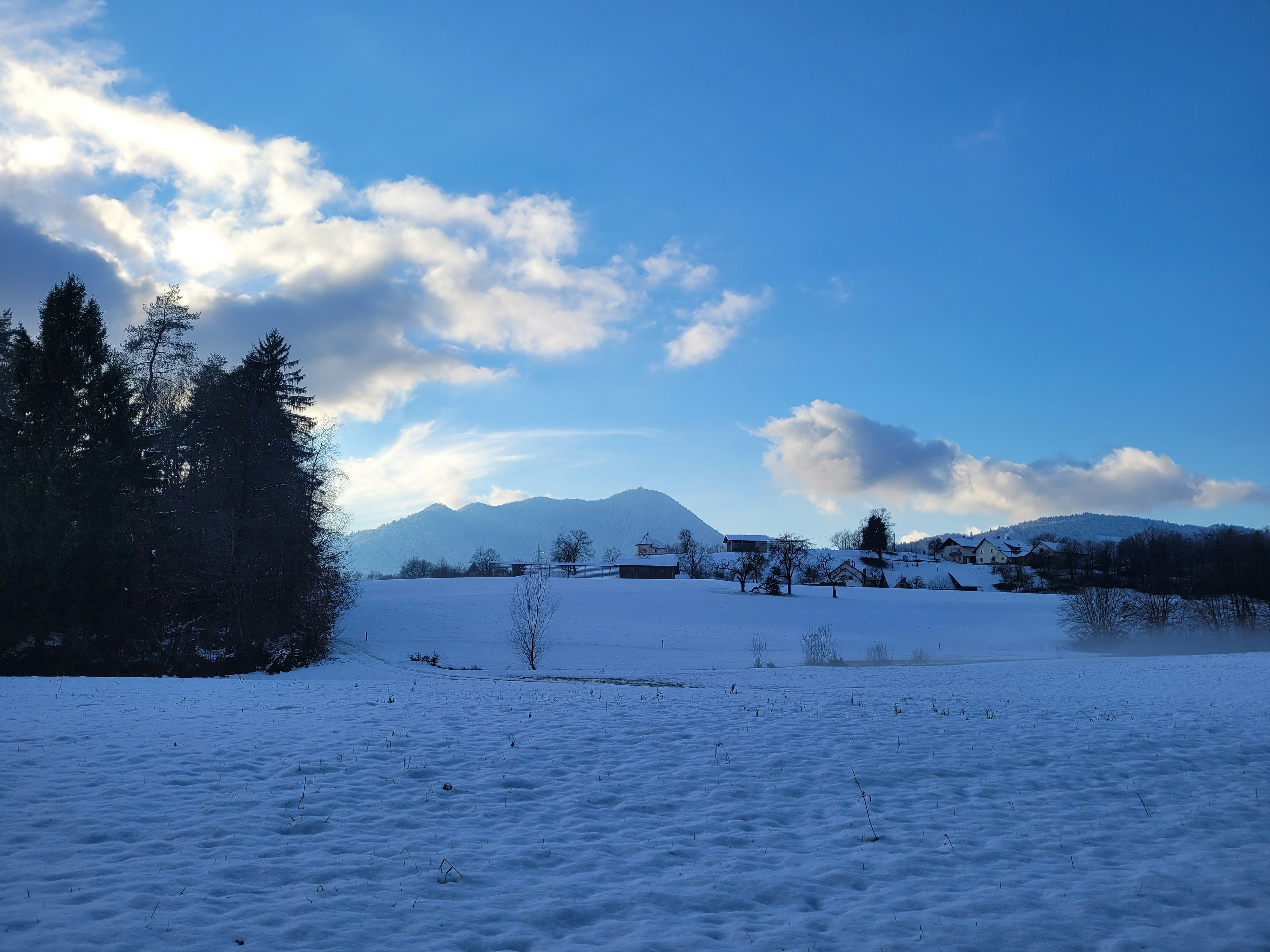 Marjeta Pucko (@puckom) | Comunidade de fotos da Unsplash