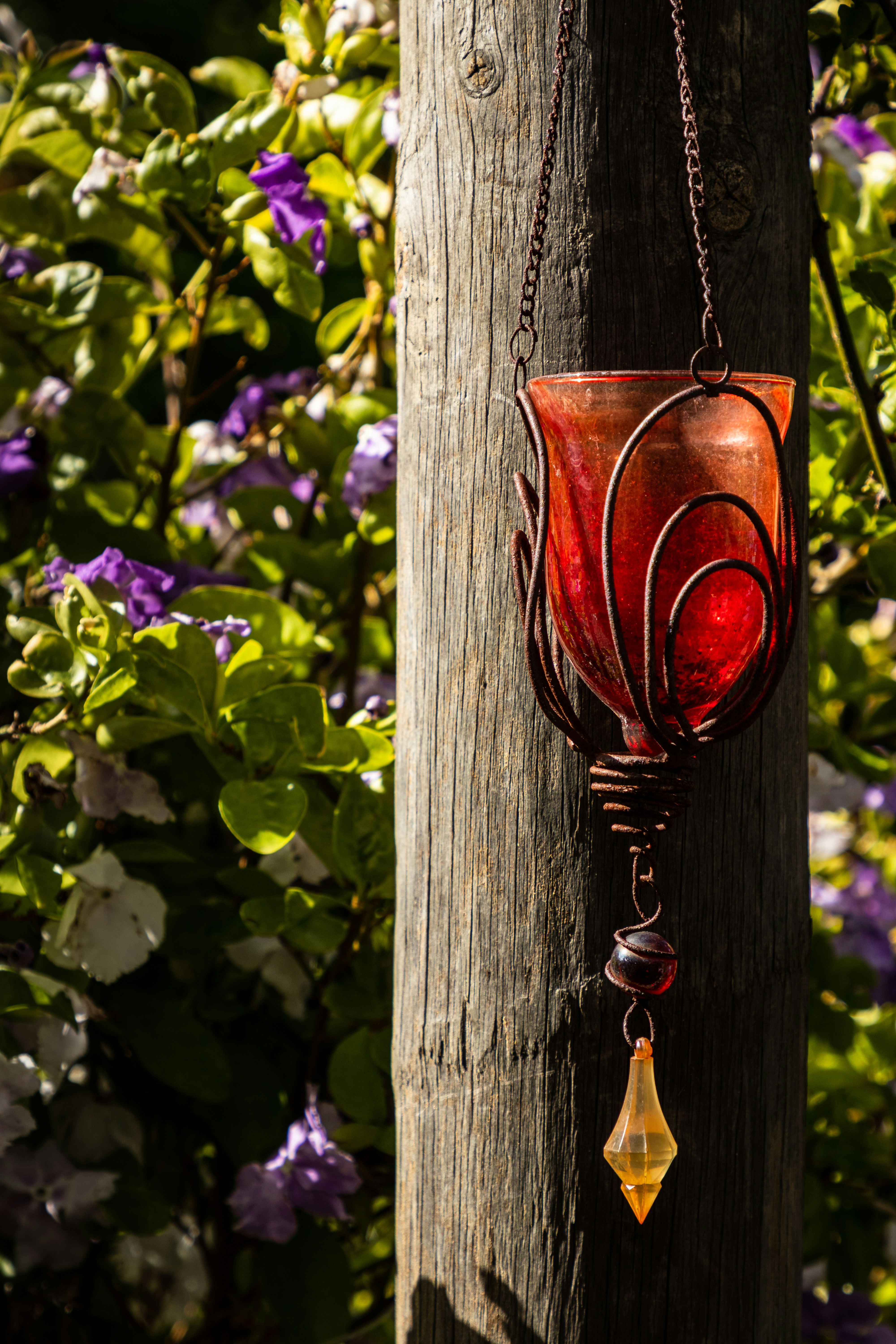 Crimson Glass Lantern Adorns a Weathered Post Amid Purple Blooms