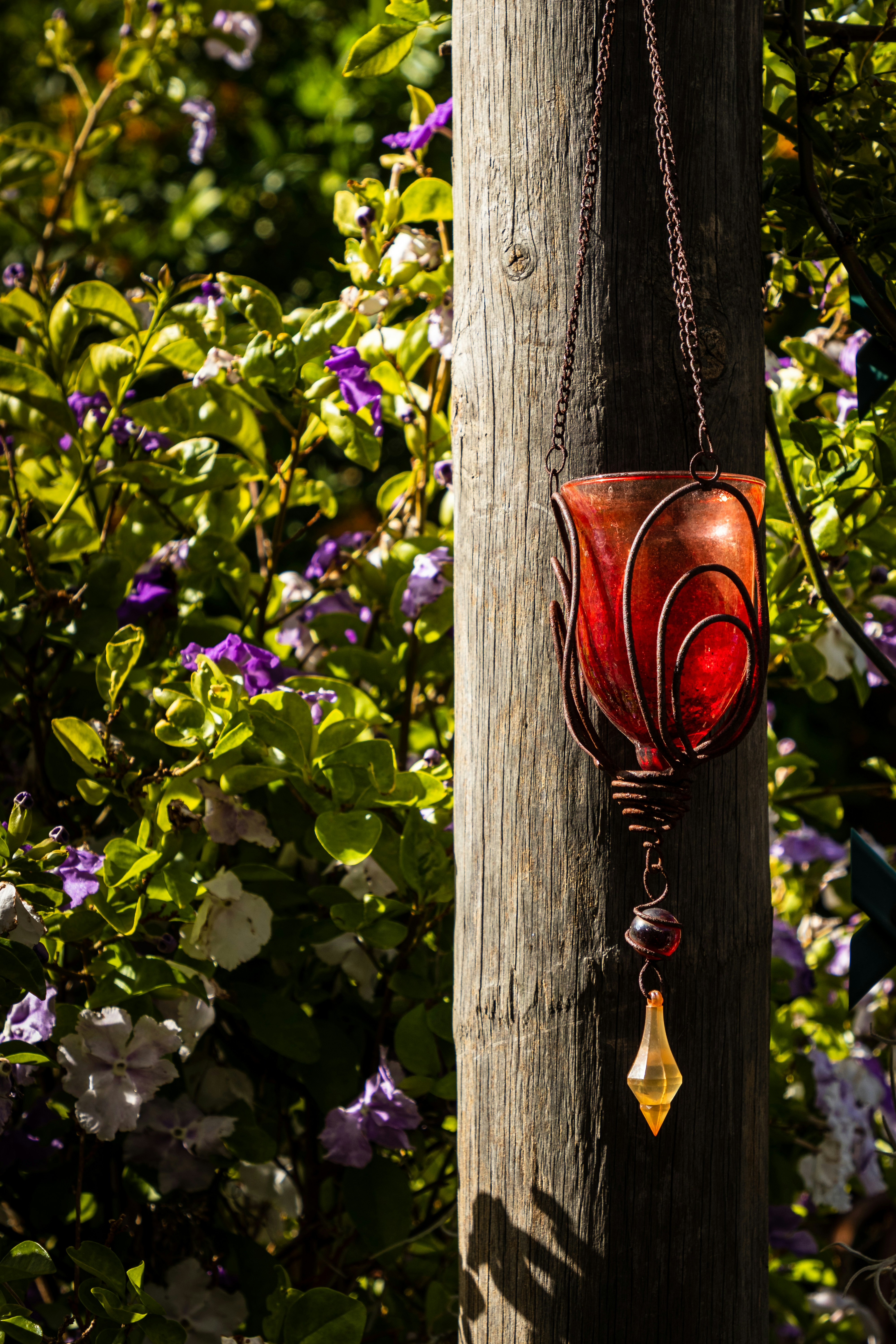 Crimson Lantern Clinging to Weathered Post Amid Sunlit Foliage