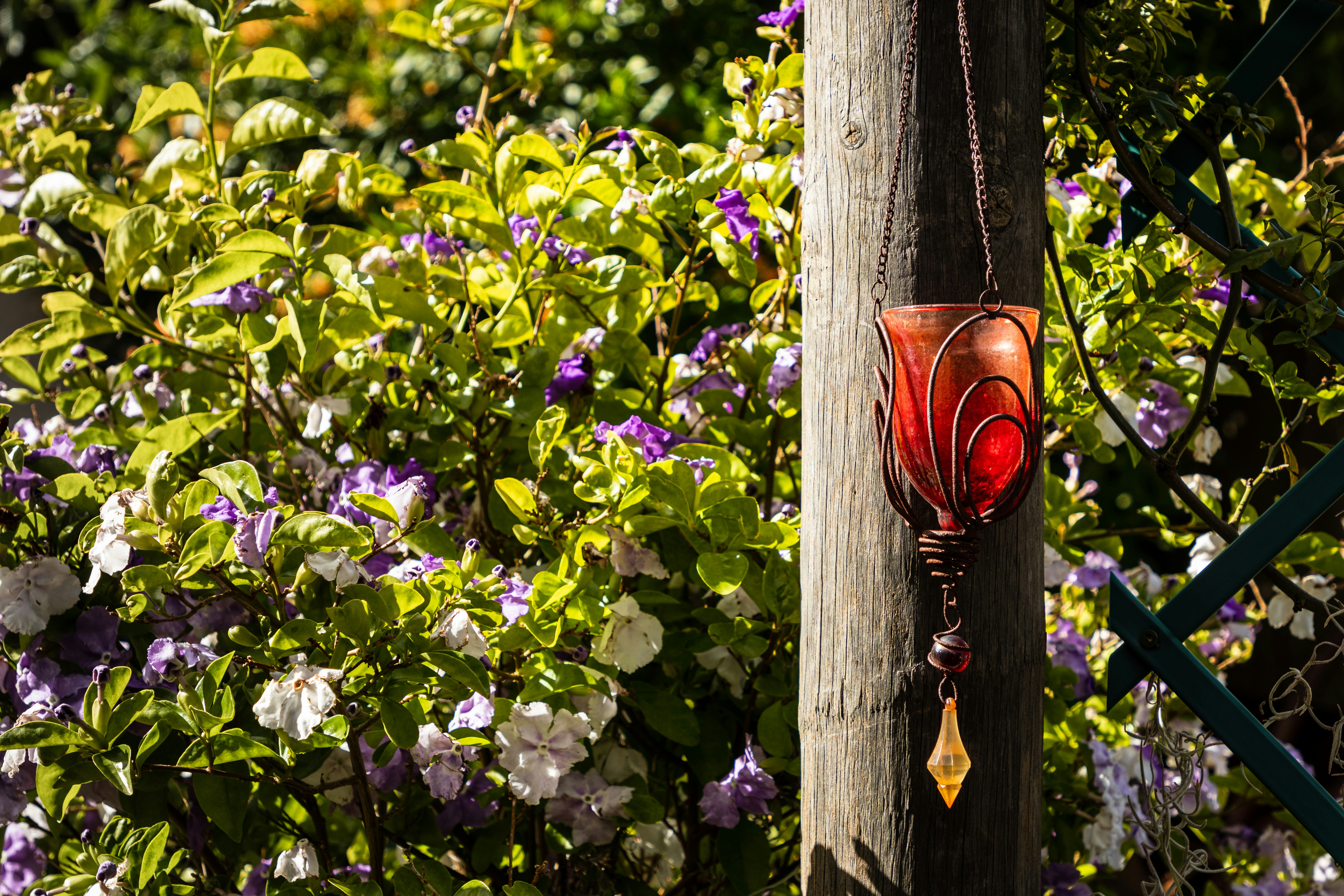 Artistic lantern hanging from a wooden post, surrounded by vibrant purple and white flowers in a lush garden.