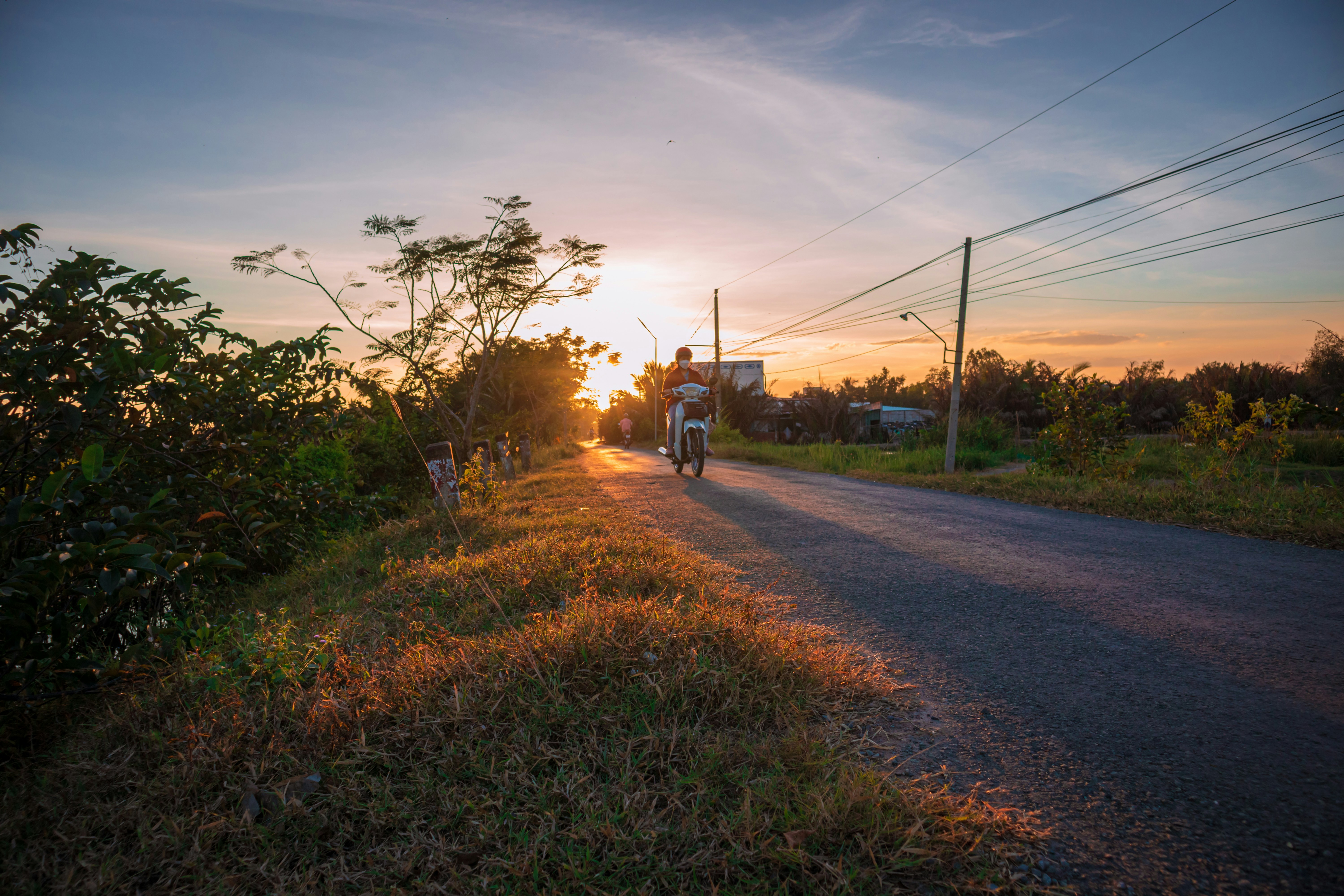A cyclist rides along a tranquil road at sunset, surrounded by lush greenery and warm light. The scene captures the essence of evening serenity.
