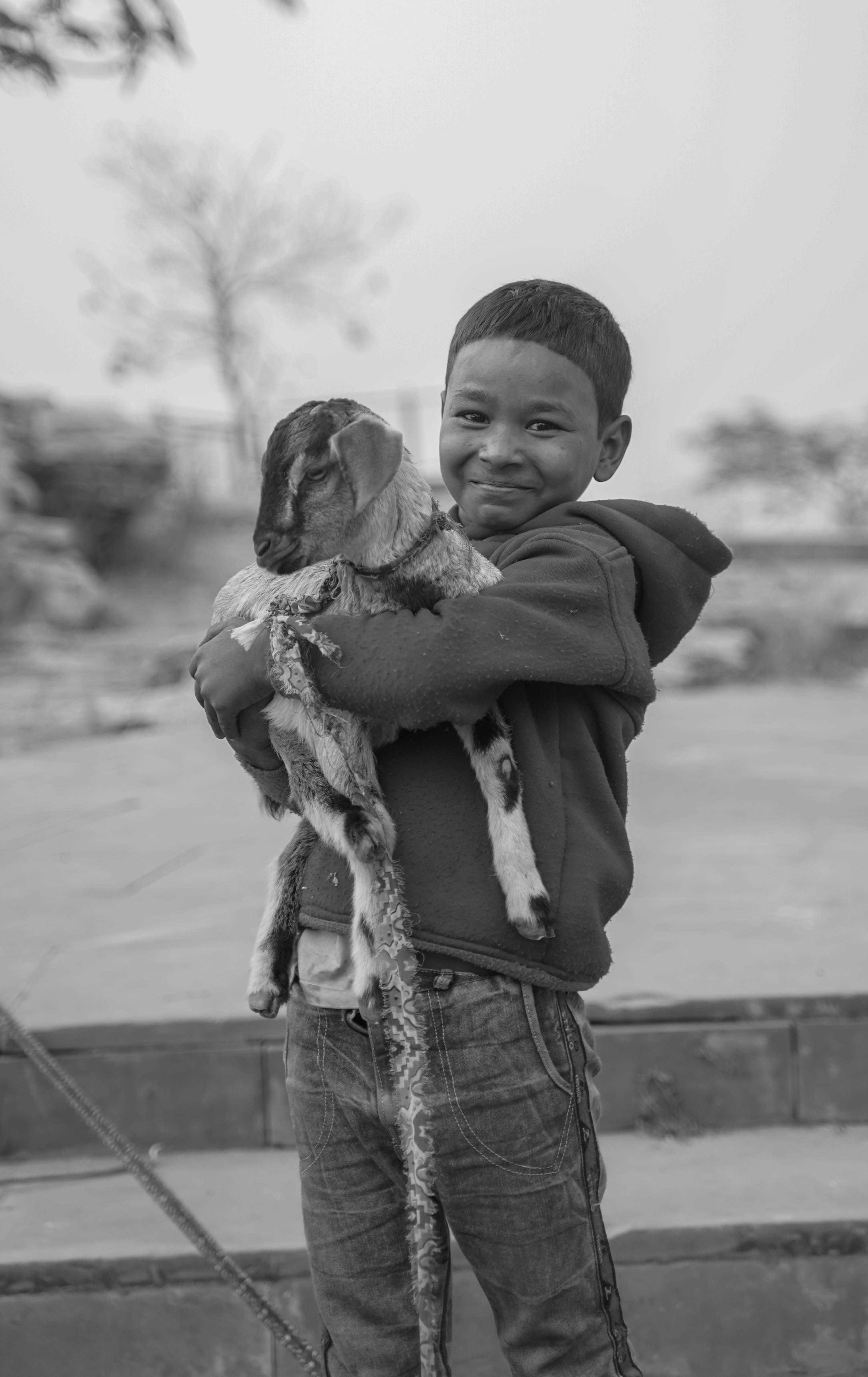 Grayscale Moment: A Boy Embraces His Dog on the Steps
