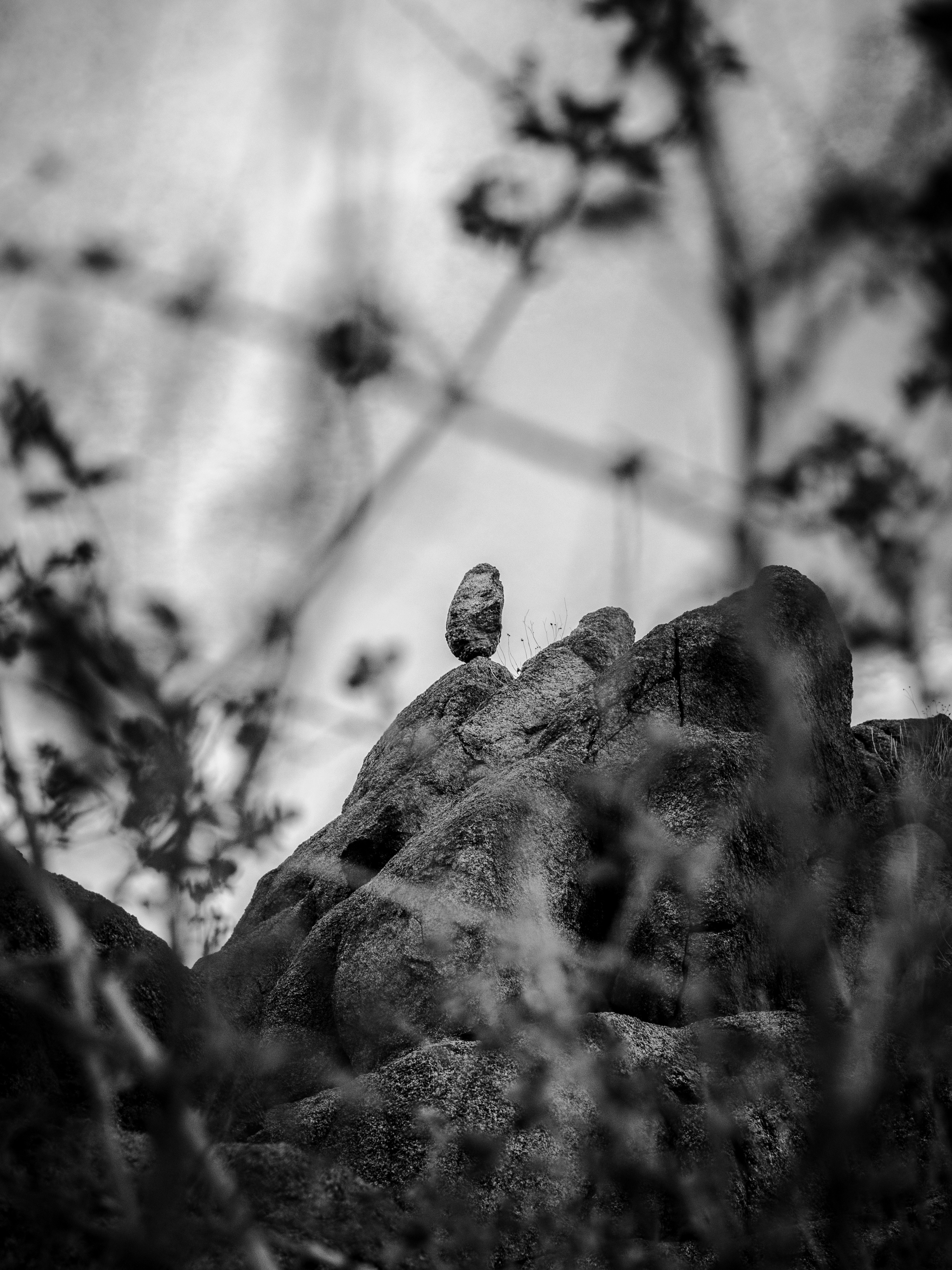 Stone Sentinel: A Lone Pebble Standing Amid a Sea of Granite