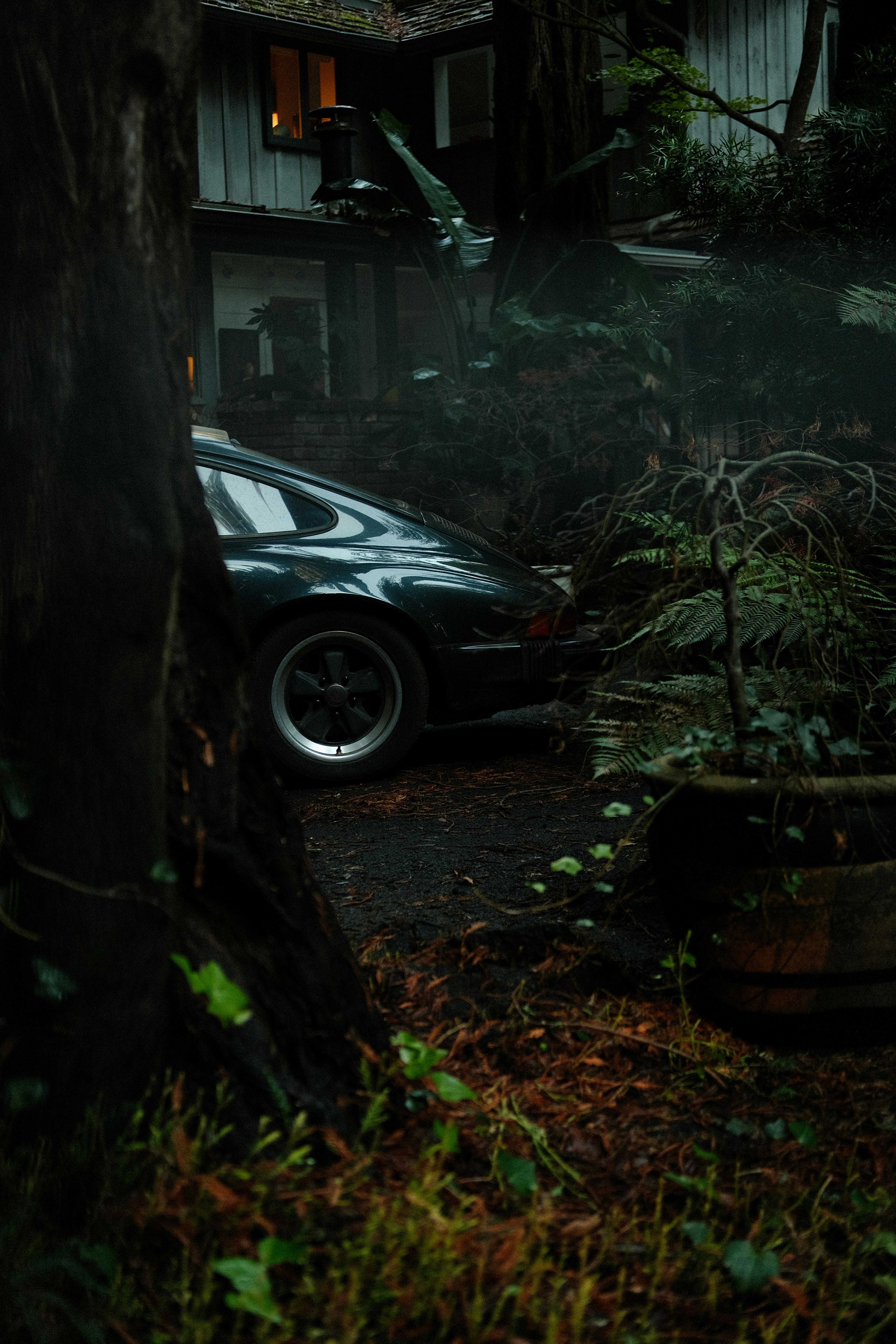 Whispered Porsche: a Fern-Draped Driveway Portrait