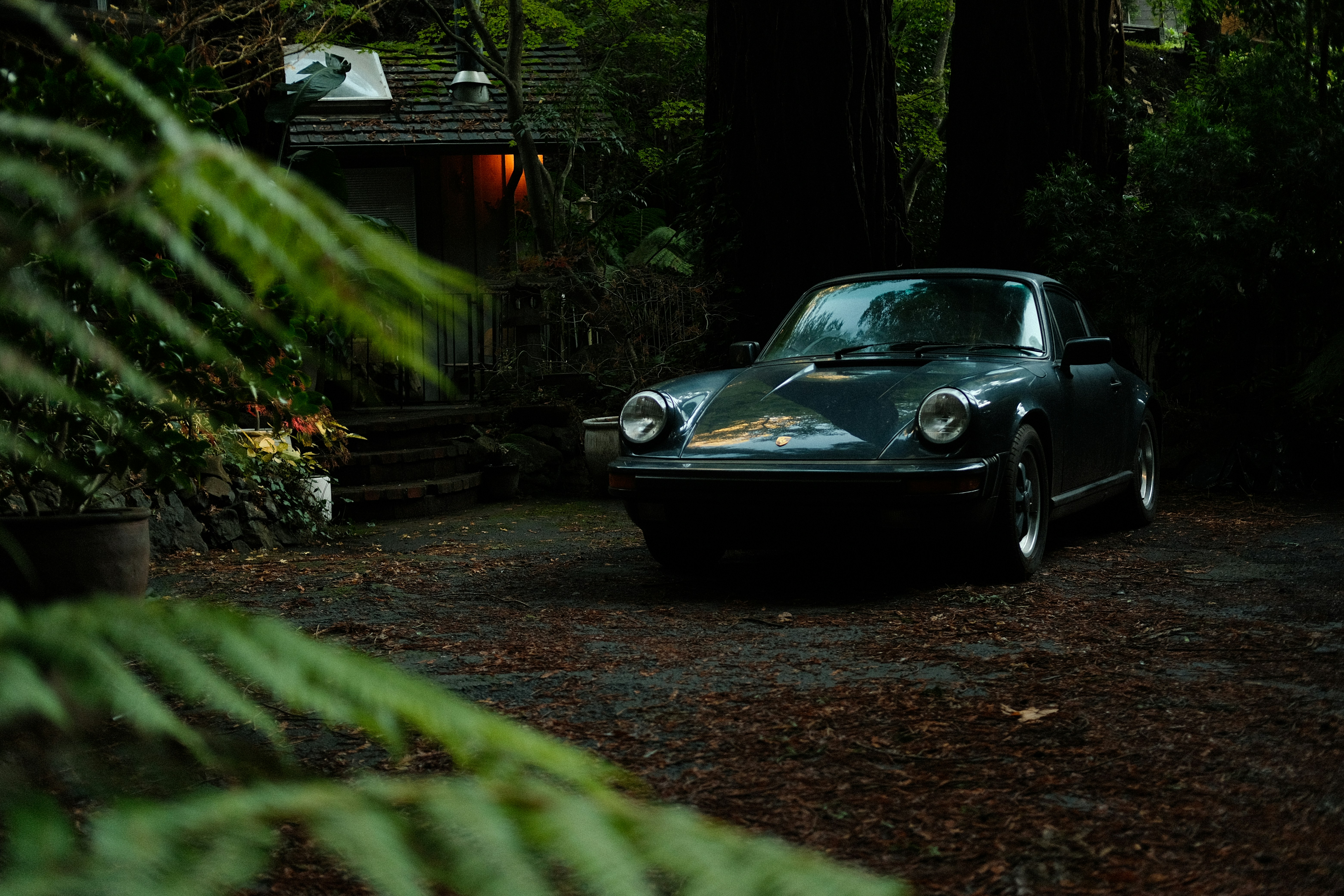 Classic car parked in a serene, wooded setting, surrounded by lush greenery and soft lighting.
