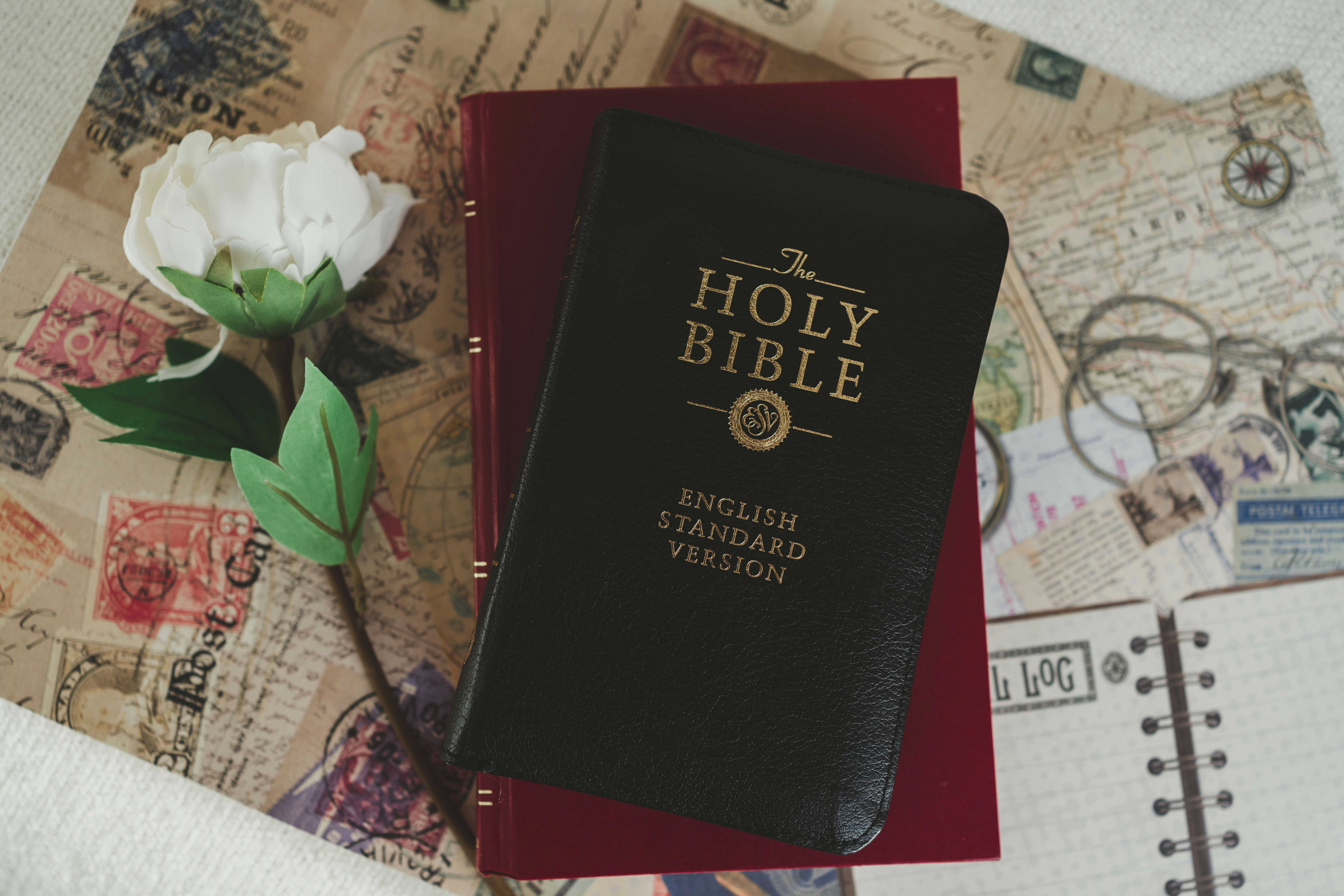 A red and black bible next to a white flower photo – Free Psalms Image ...