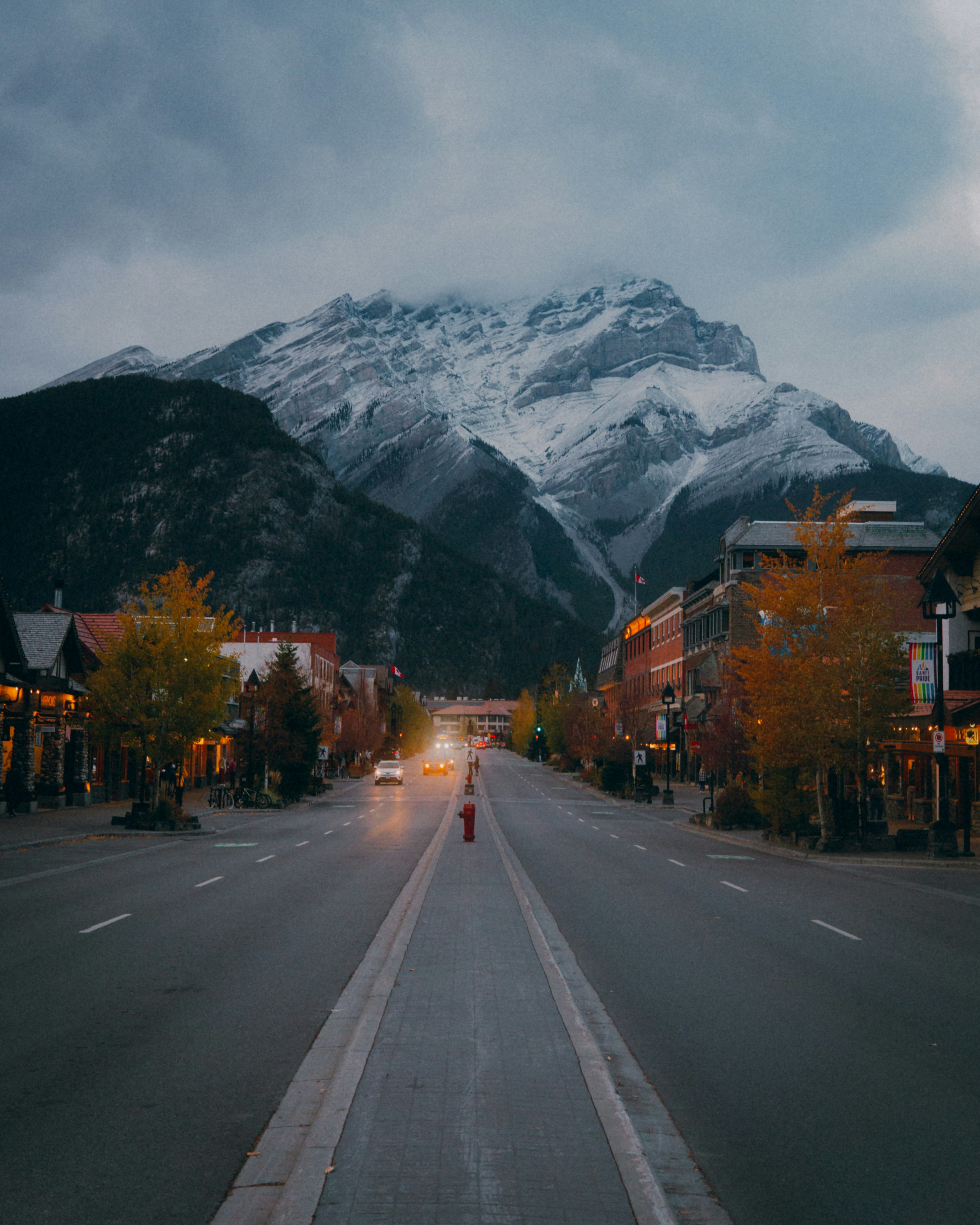 Snowline Street: Autumn Boulevard Toward Snow-Capped Peaks