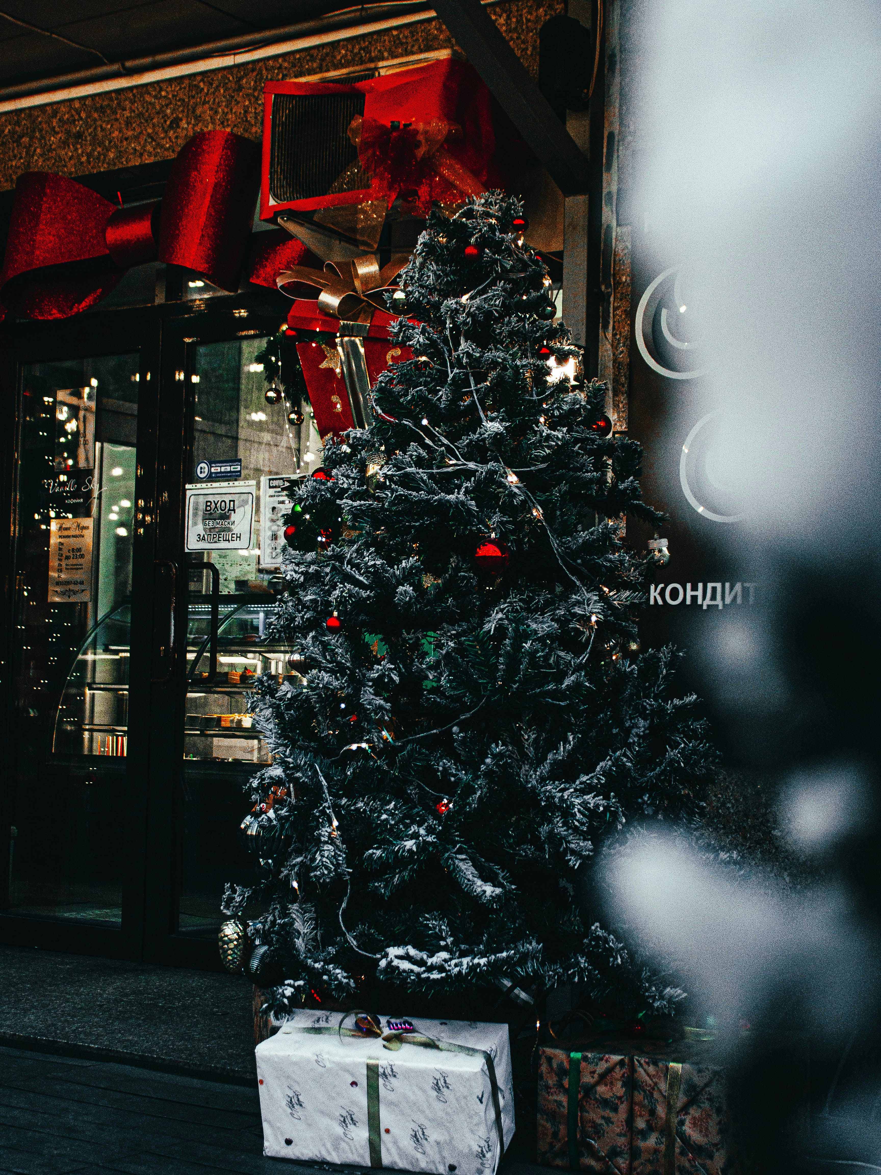 A christmas tree outside of a store front photo – Free Bishkek Image on ...