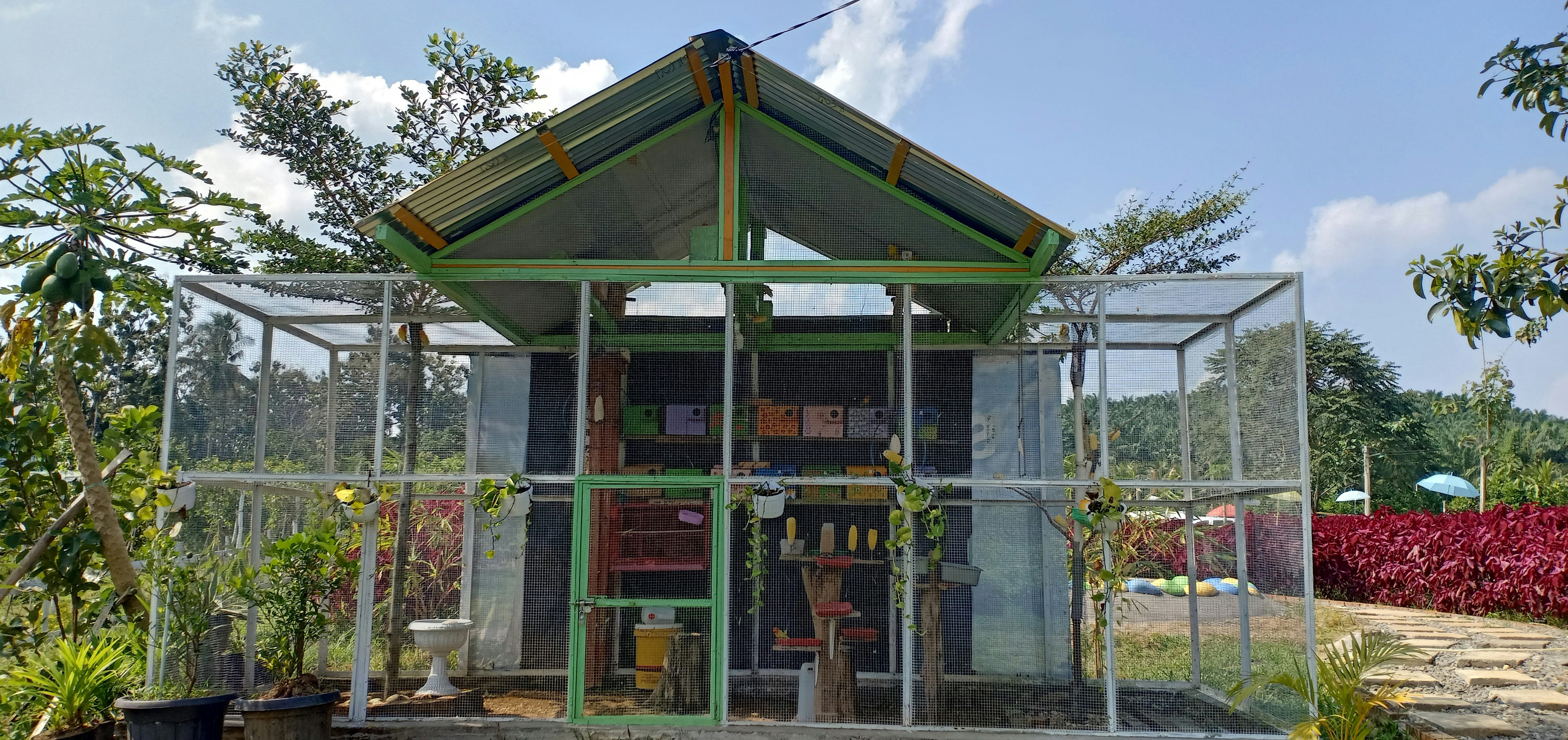 A vibrant greenhouse featuring a variety of plants and colorful beehives, set against a clear blue sky. The structure is designed to foster growth and biodiversity.