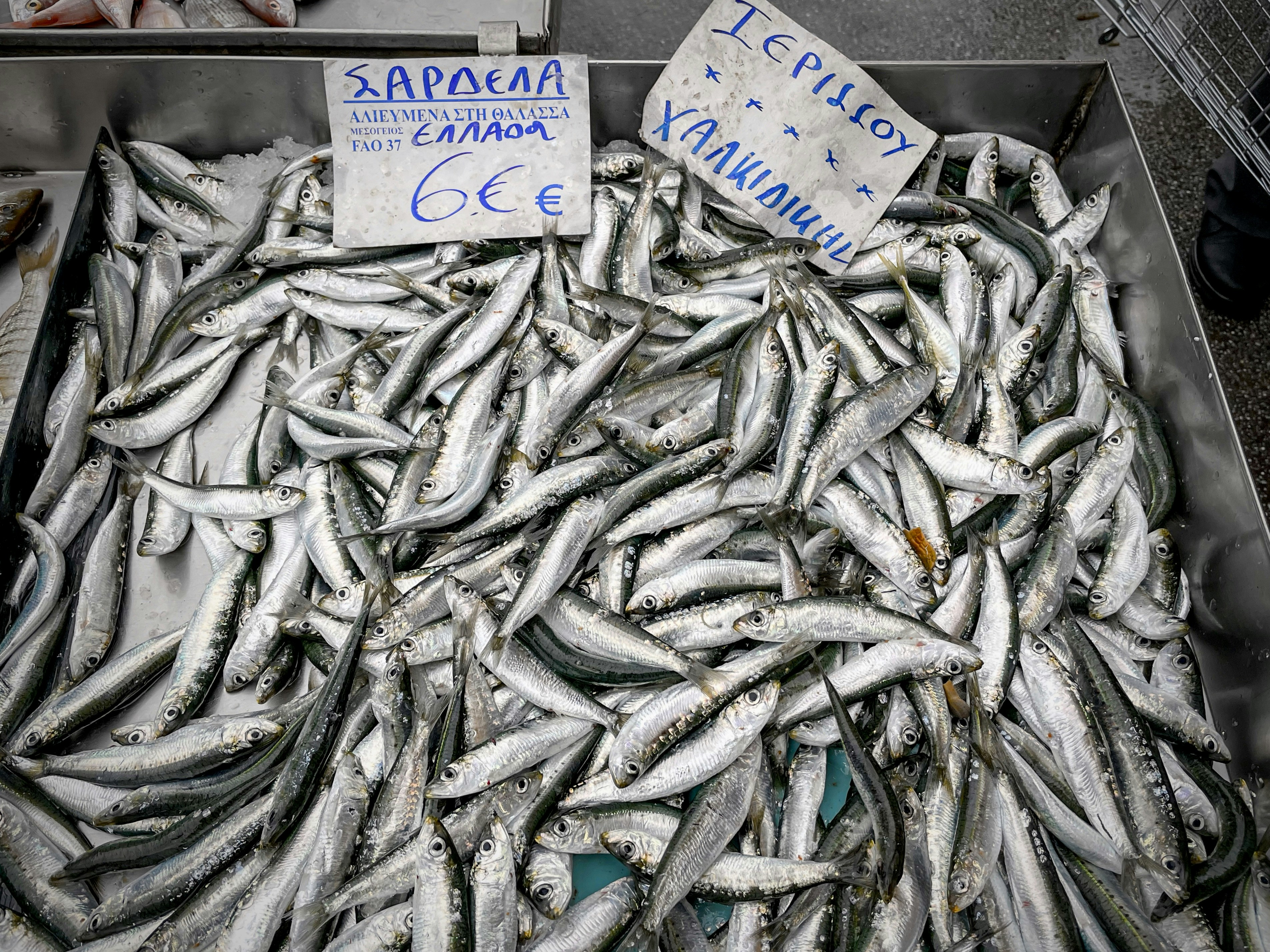 Market's Bounty: Fresh Sardines Await