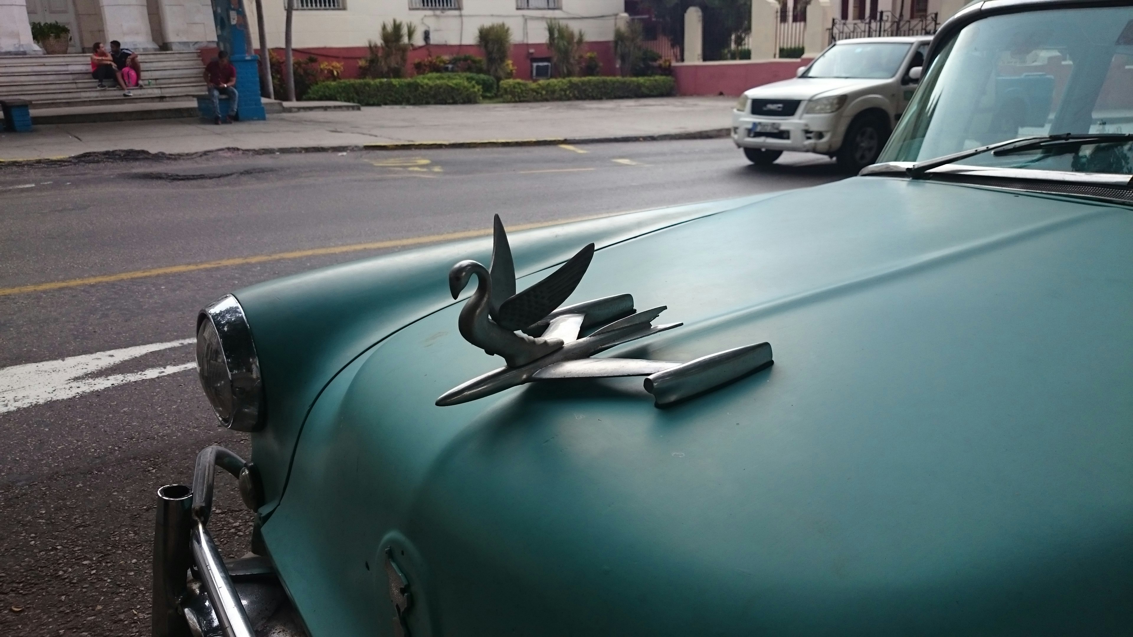 Teal 1950s Hood Spirit: Chrome Bird Over a City Street