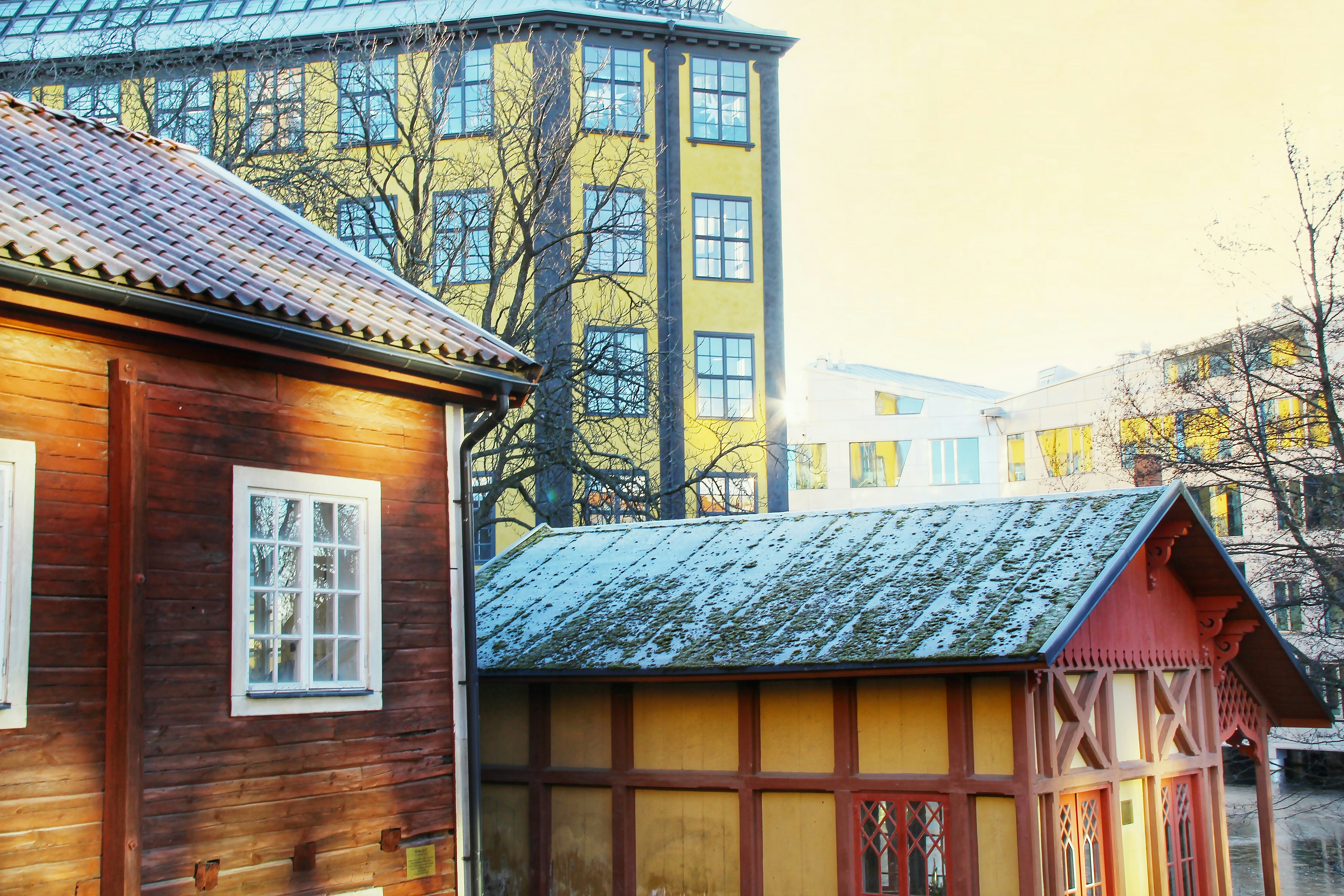 Colorful wooden houses contrast with a modern building in soft daylight.