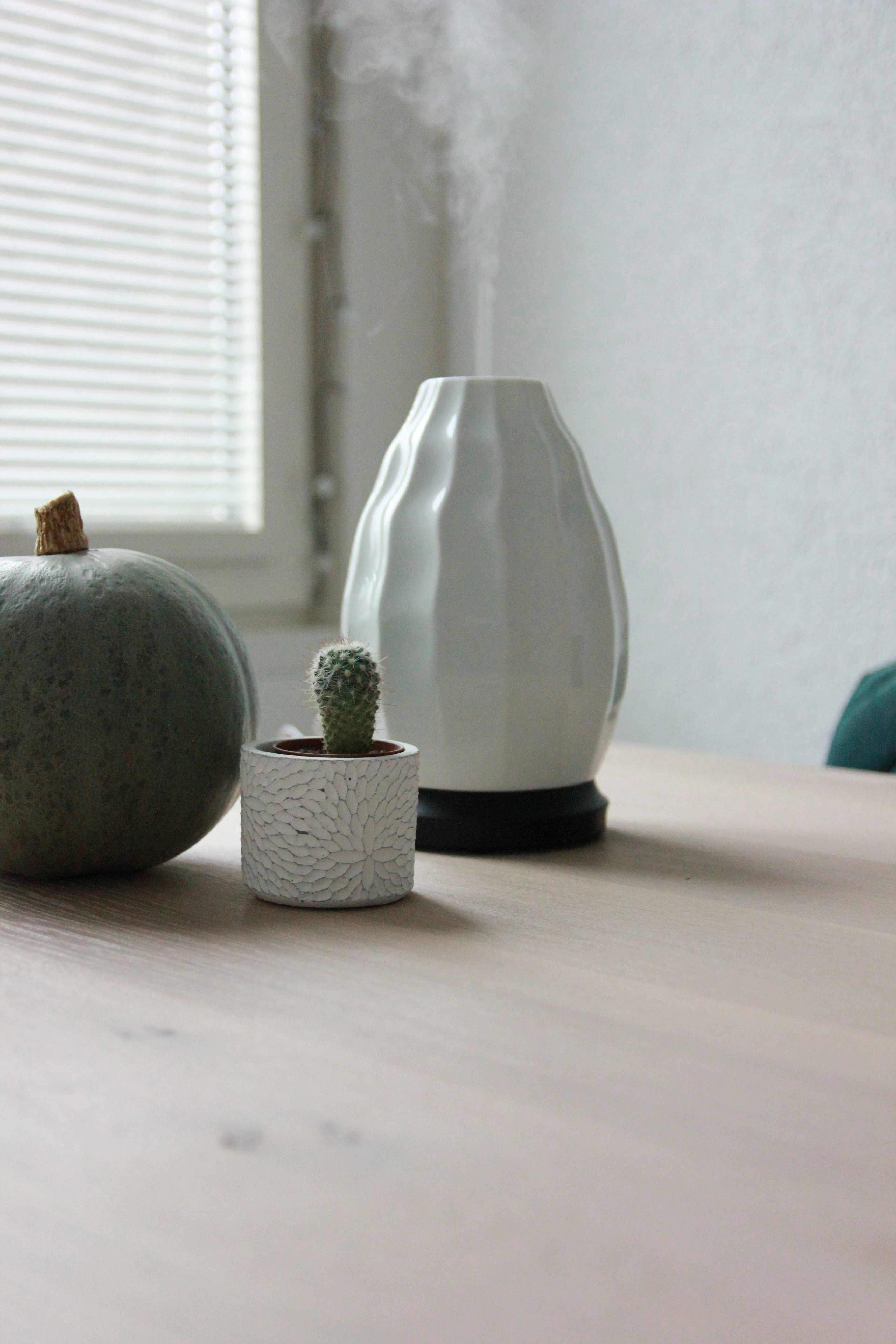 White ceramic diffuser | a vase sitting on a table