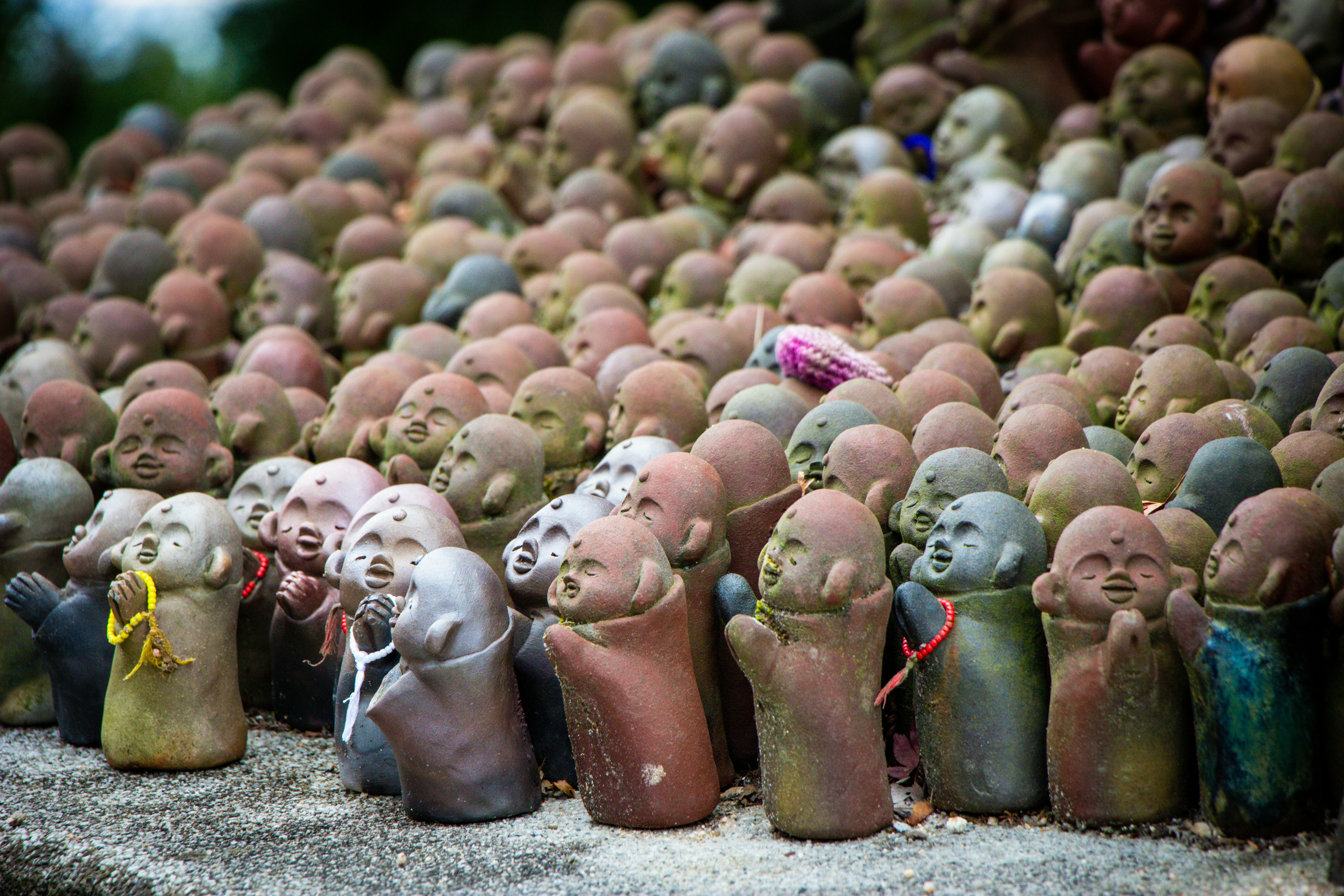 a bunch of vegetables on display