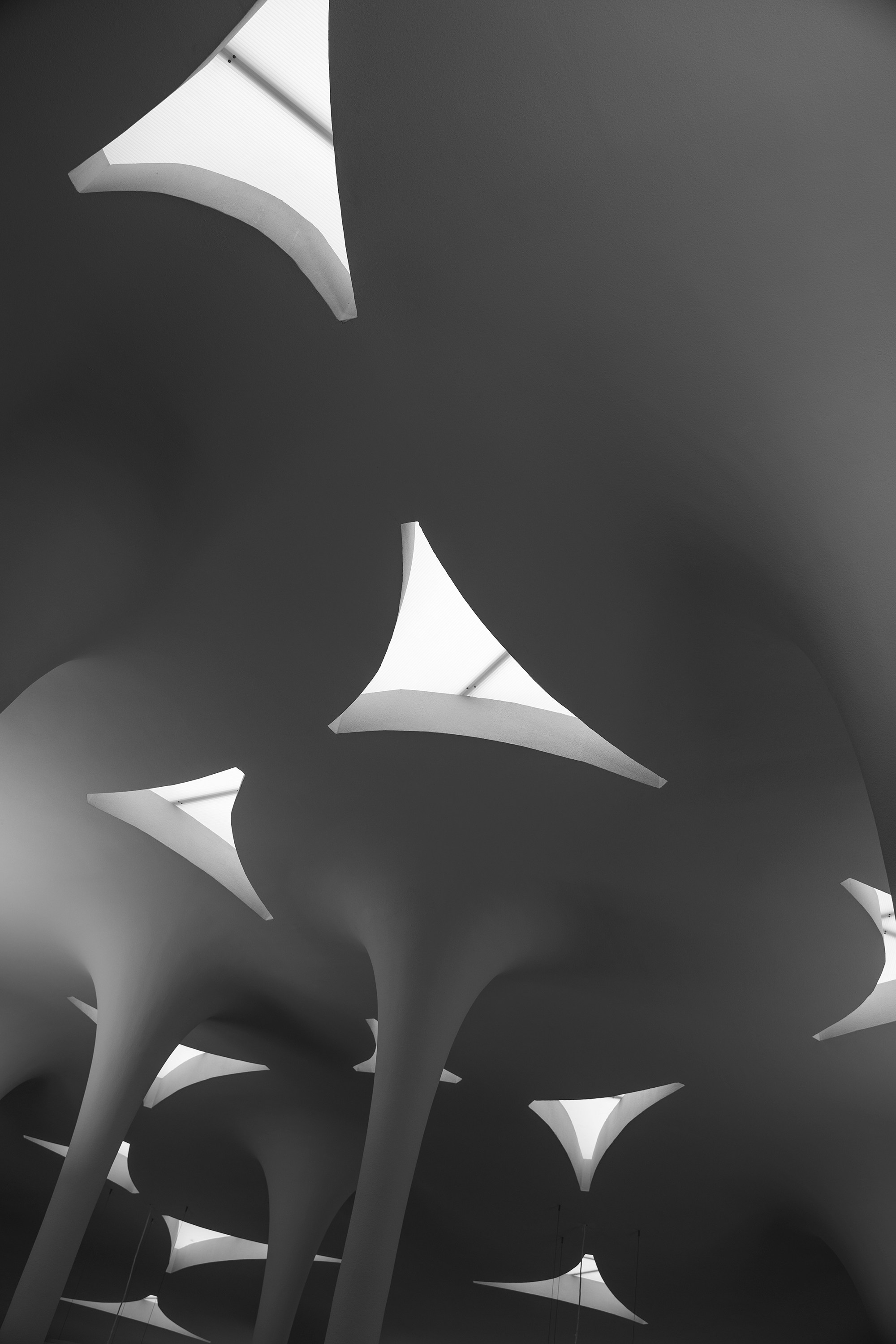 a black and white photo of a group of umbrellas