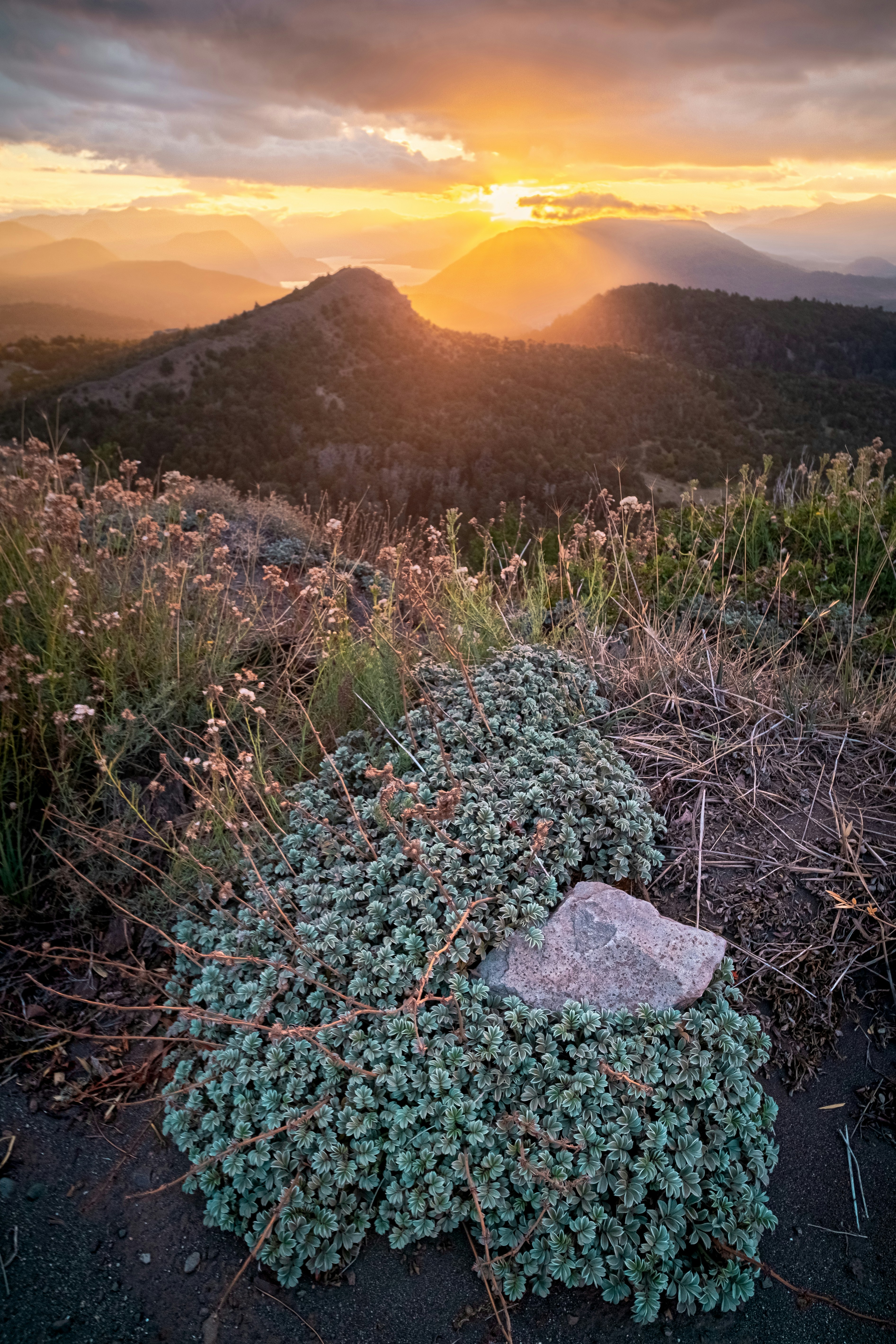 Sunbreak Over the Sage: A Rocky Foreground Leads to a Golden Sunset