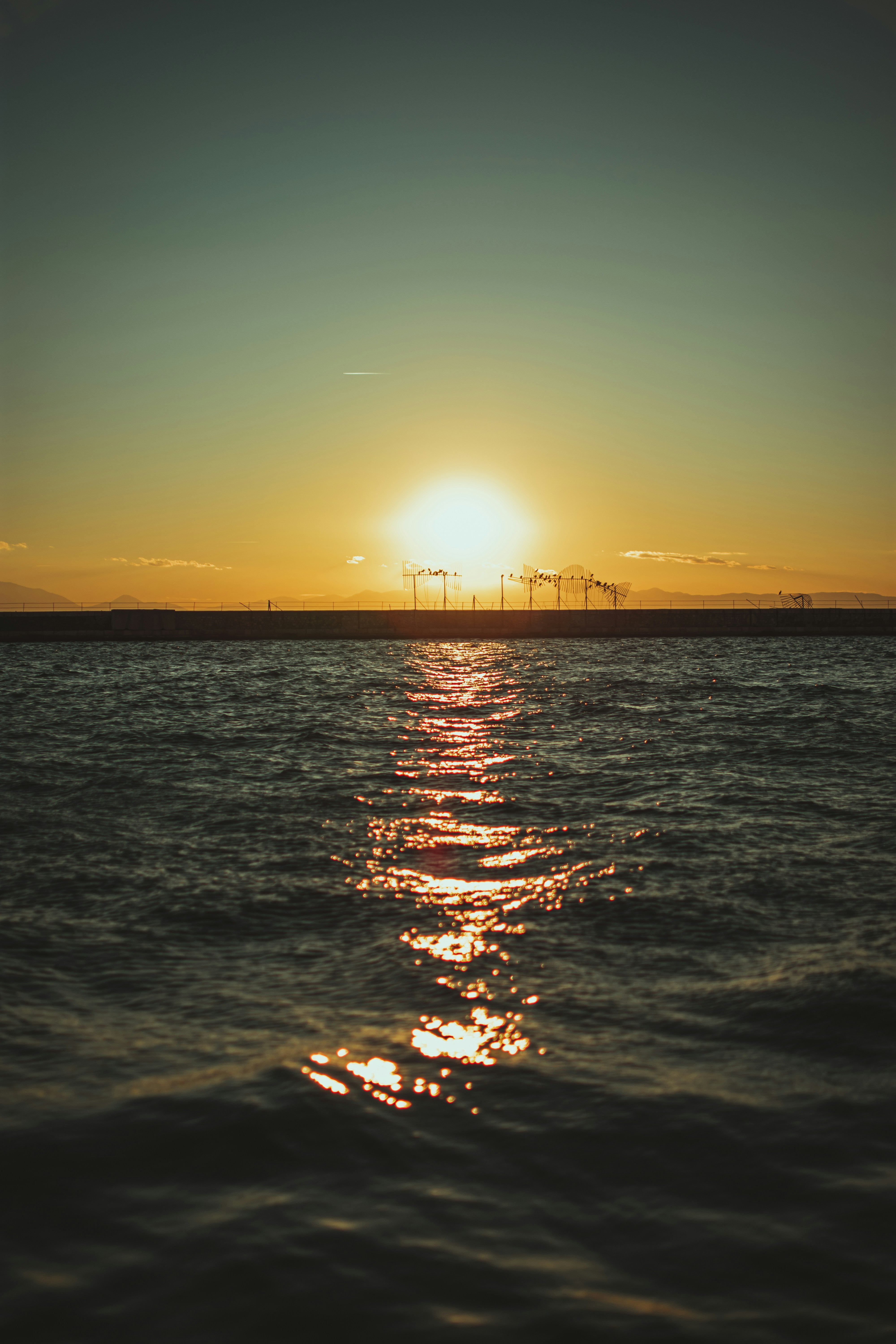 Dusk's Golden Path: Silhouetted Cranes Framing the Horizon