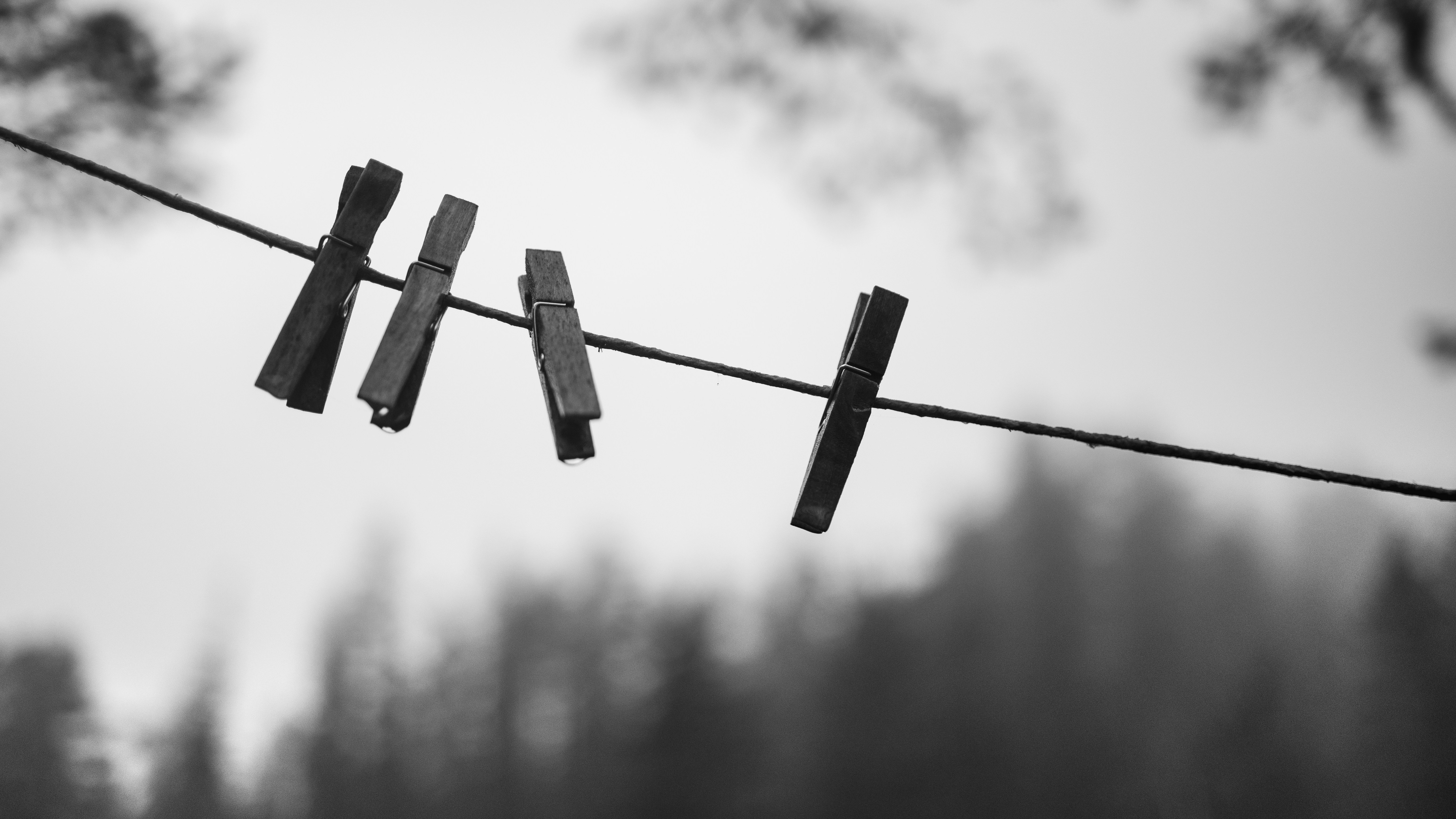 Muted Laundry on a Quiet Wire