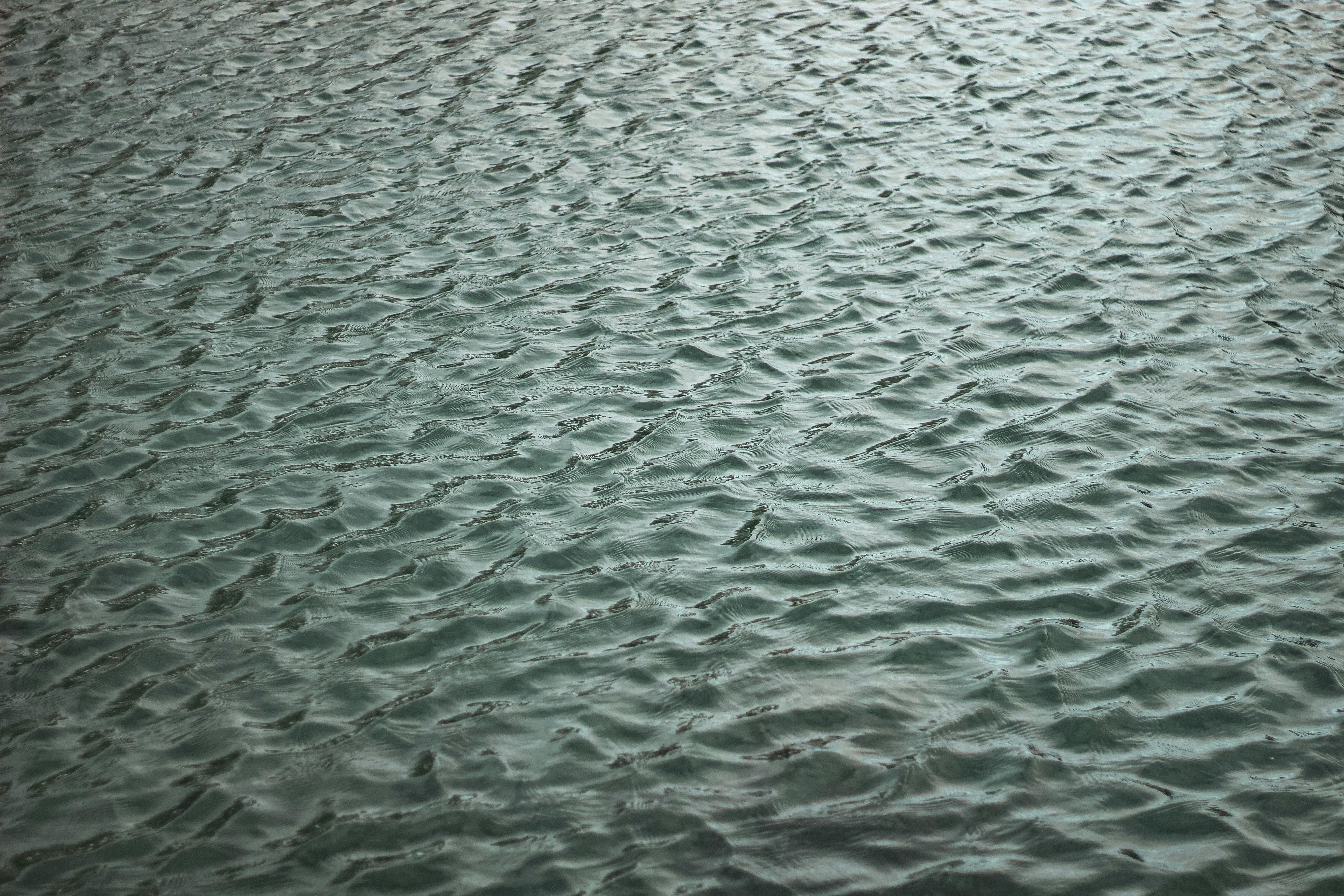 A large body of water with a boat in the distance photo – Free Water ...